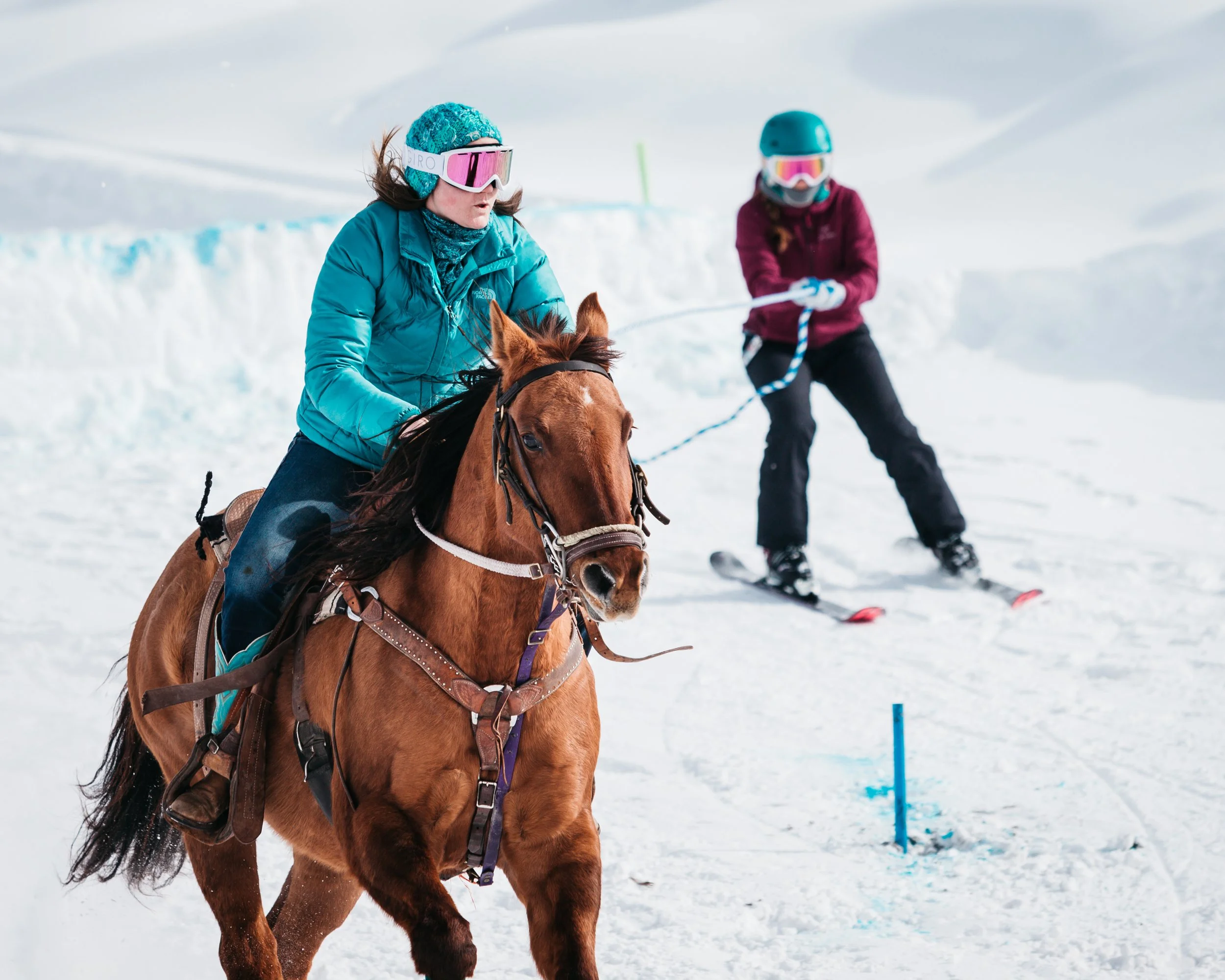 Big Sky Skijoring Association