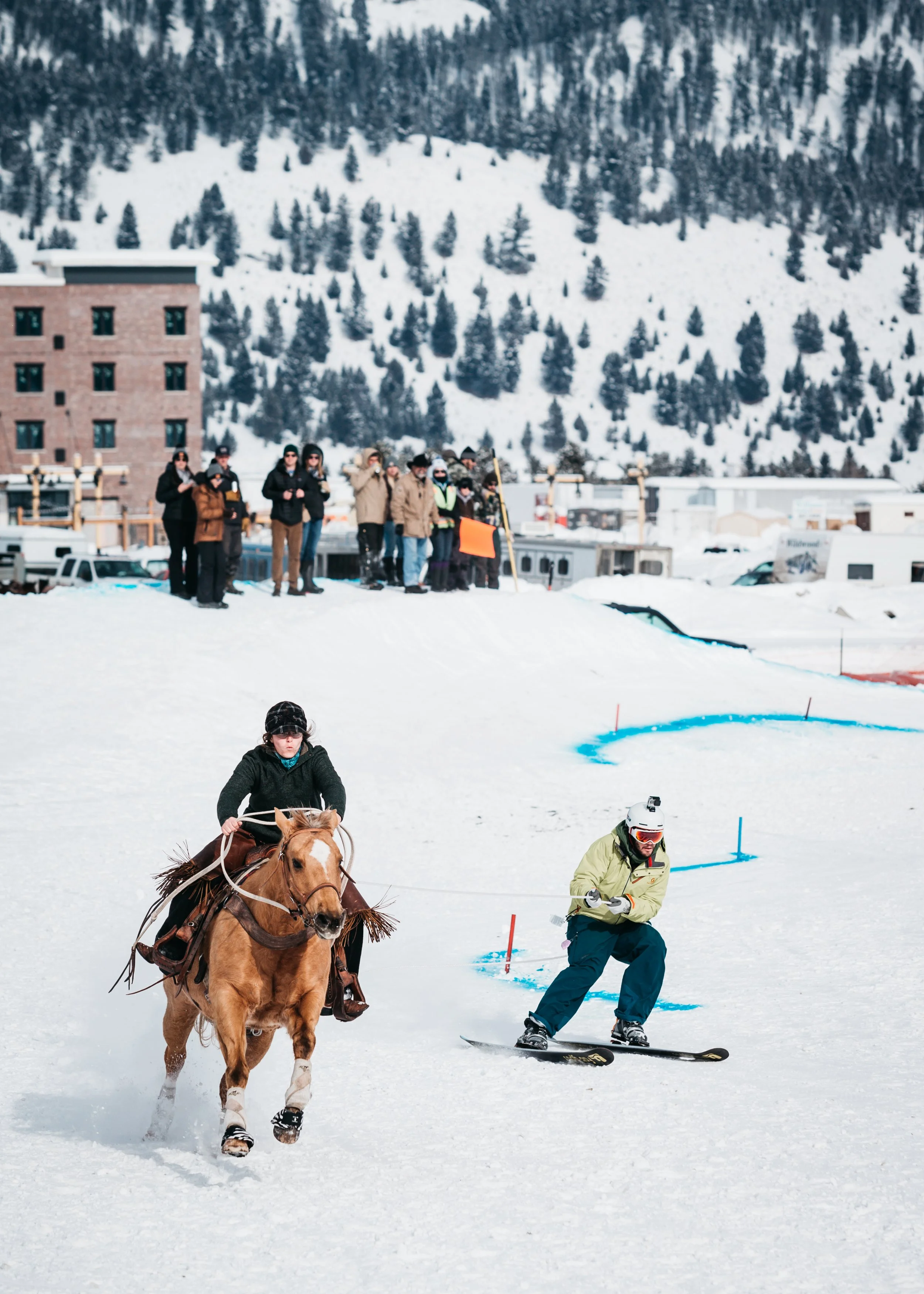 Big Sky Skijoring Association