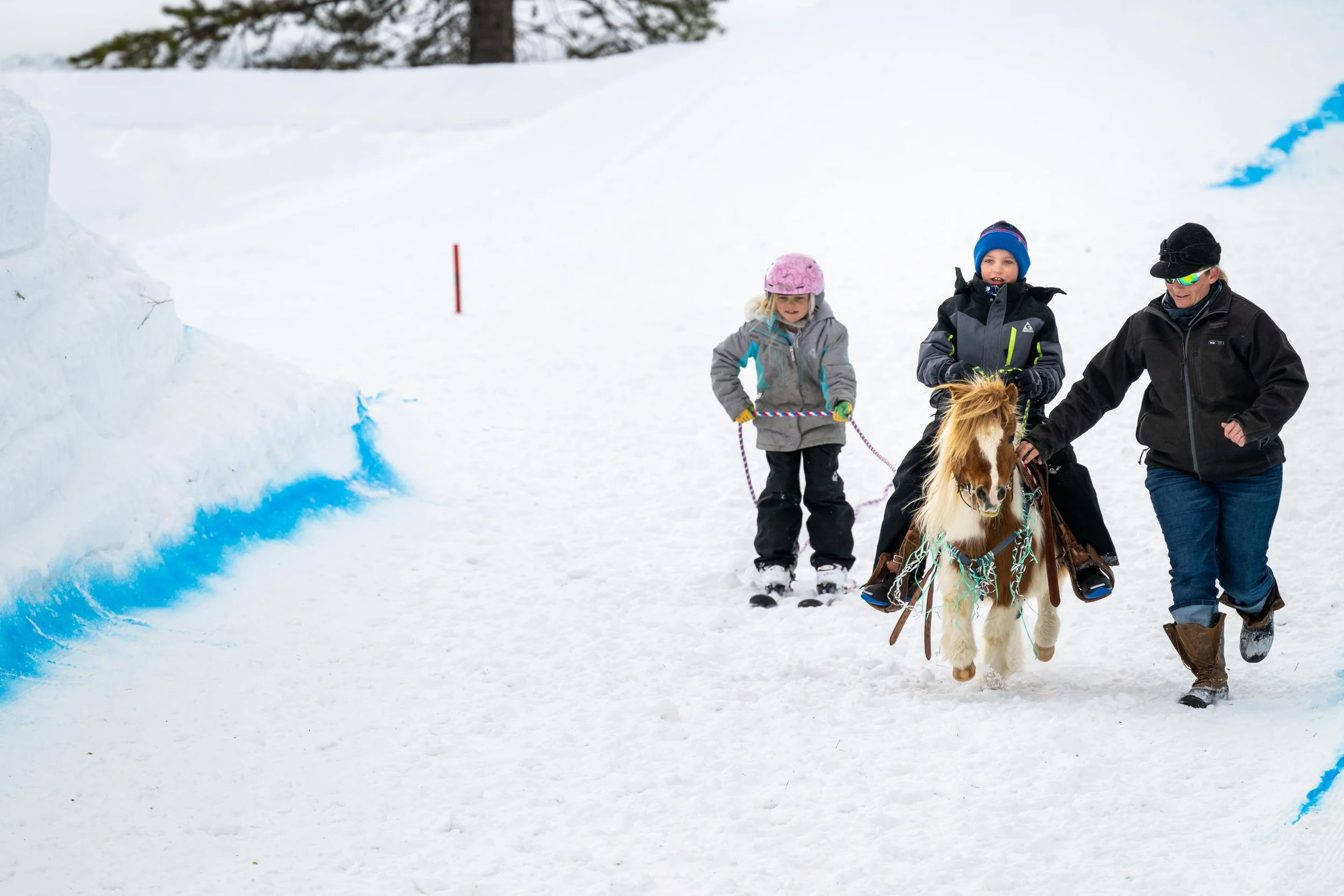 Big Sky Skijoring Association