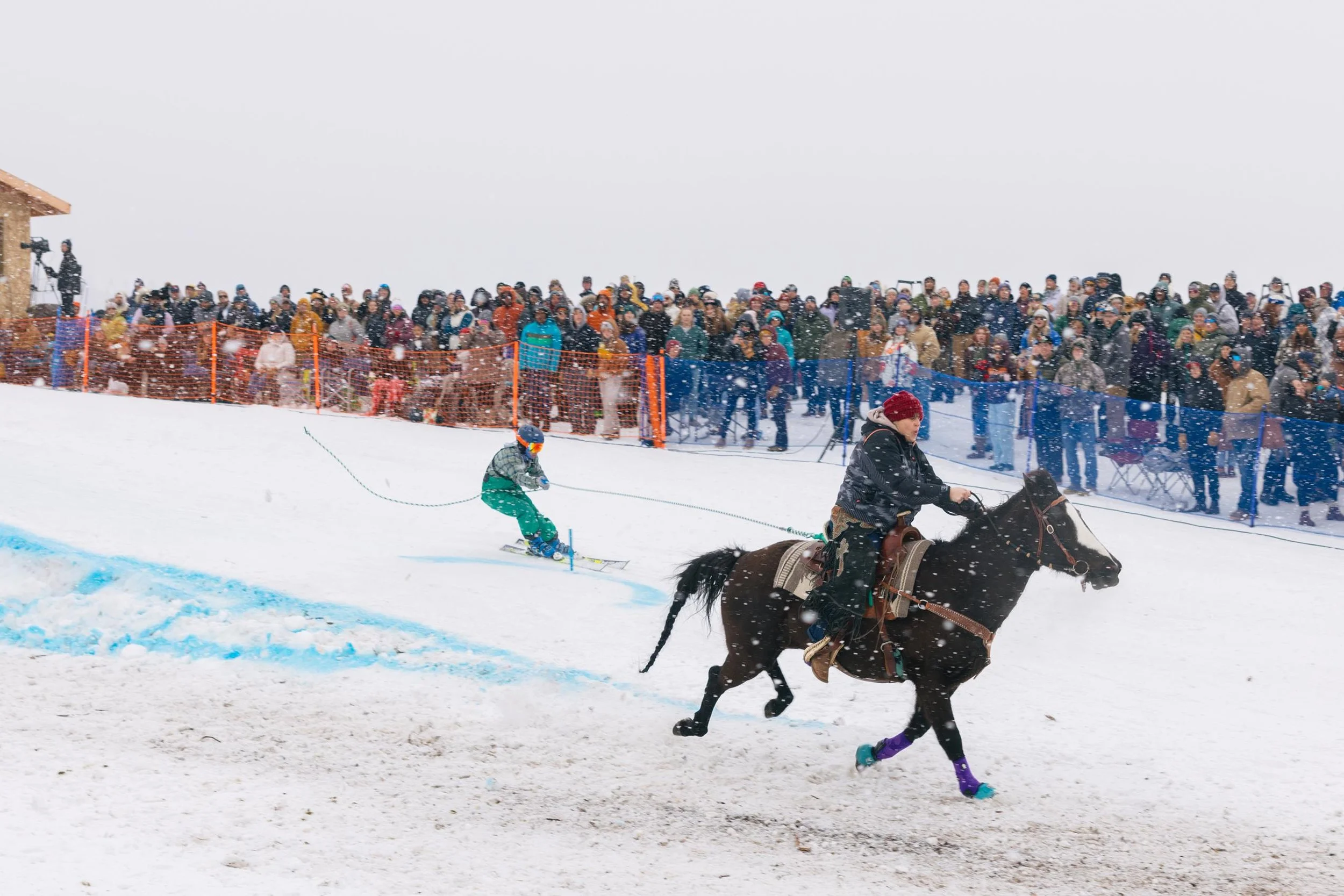 Sport Ski (Amateur) — Big Sky Skijoring Association