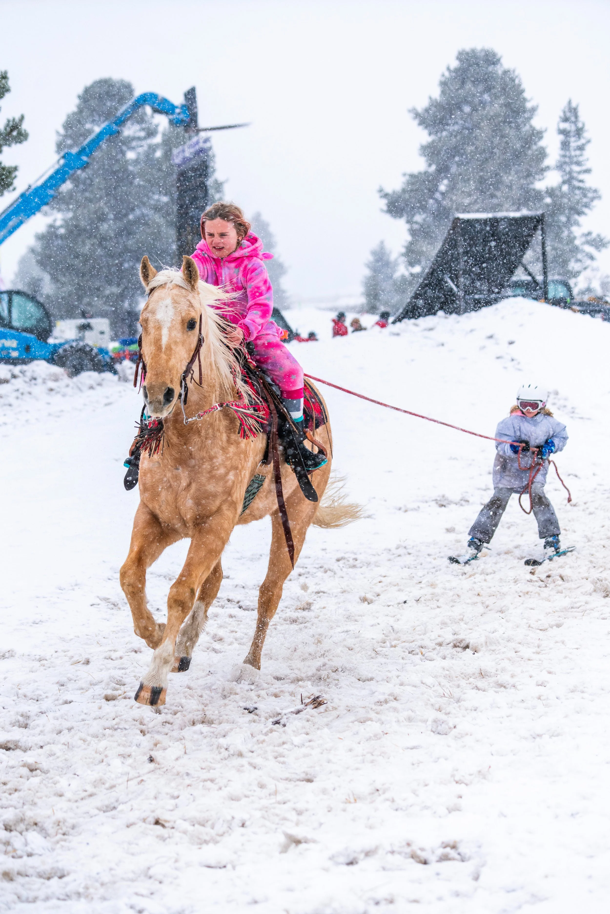 Big Sky Skijoring Association