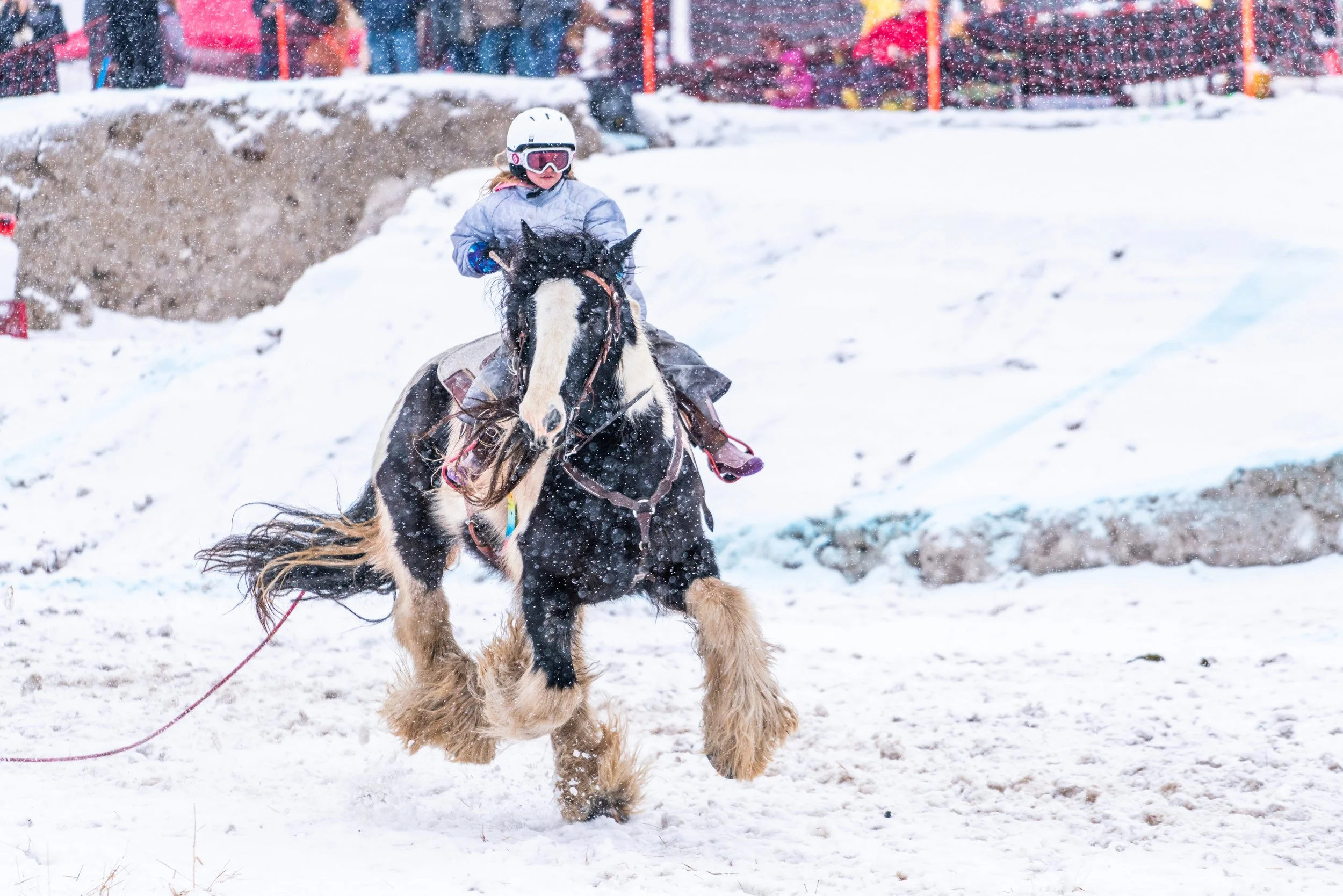 Big Sky Skijoring Association