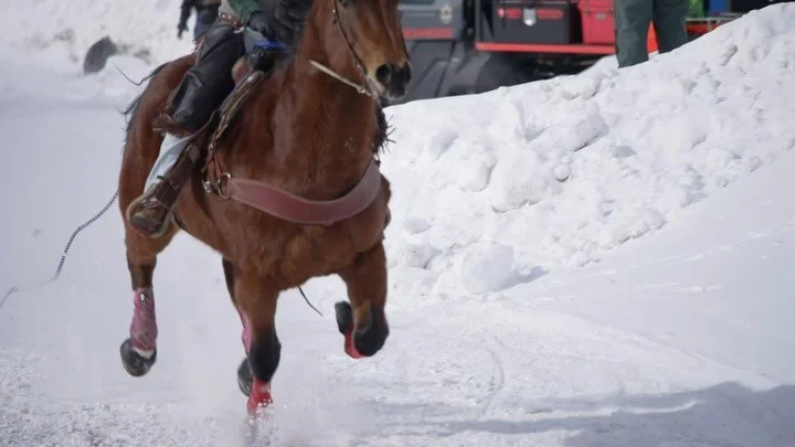 Big Sky Skijoring Association