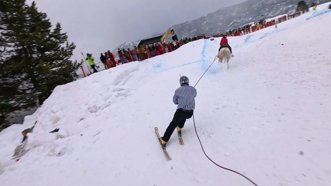 Big Sky Skijoring Association