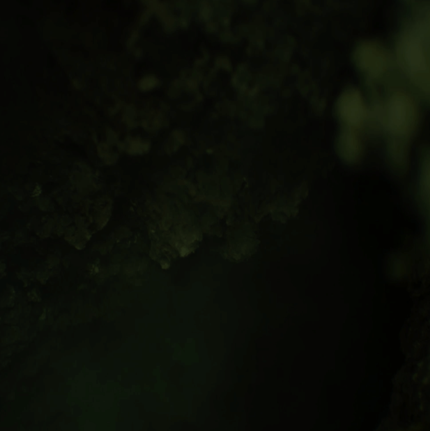 33 Ranch & Saddlery, LLC