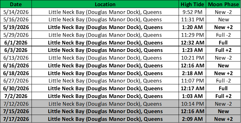 Little Neck Bay, Queens — New York Horseshoe Crab Monitoring Network