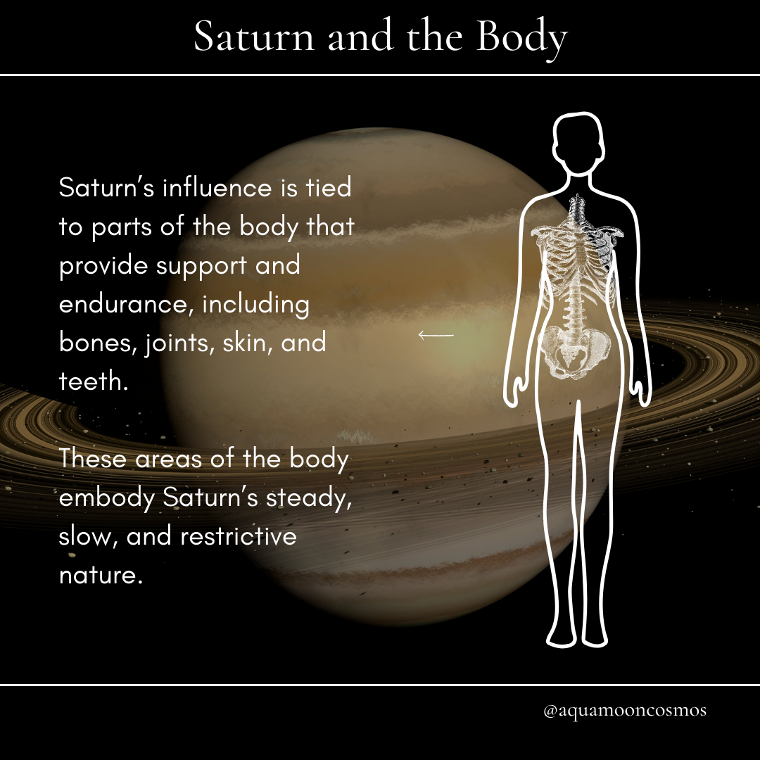 Saturn and Uranus Herbs and Foods: Ground and Protect Your Mind and ...