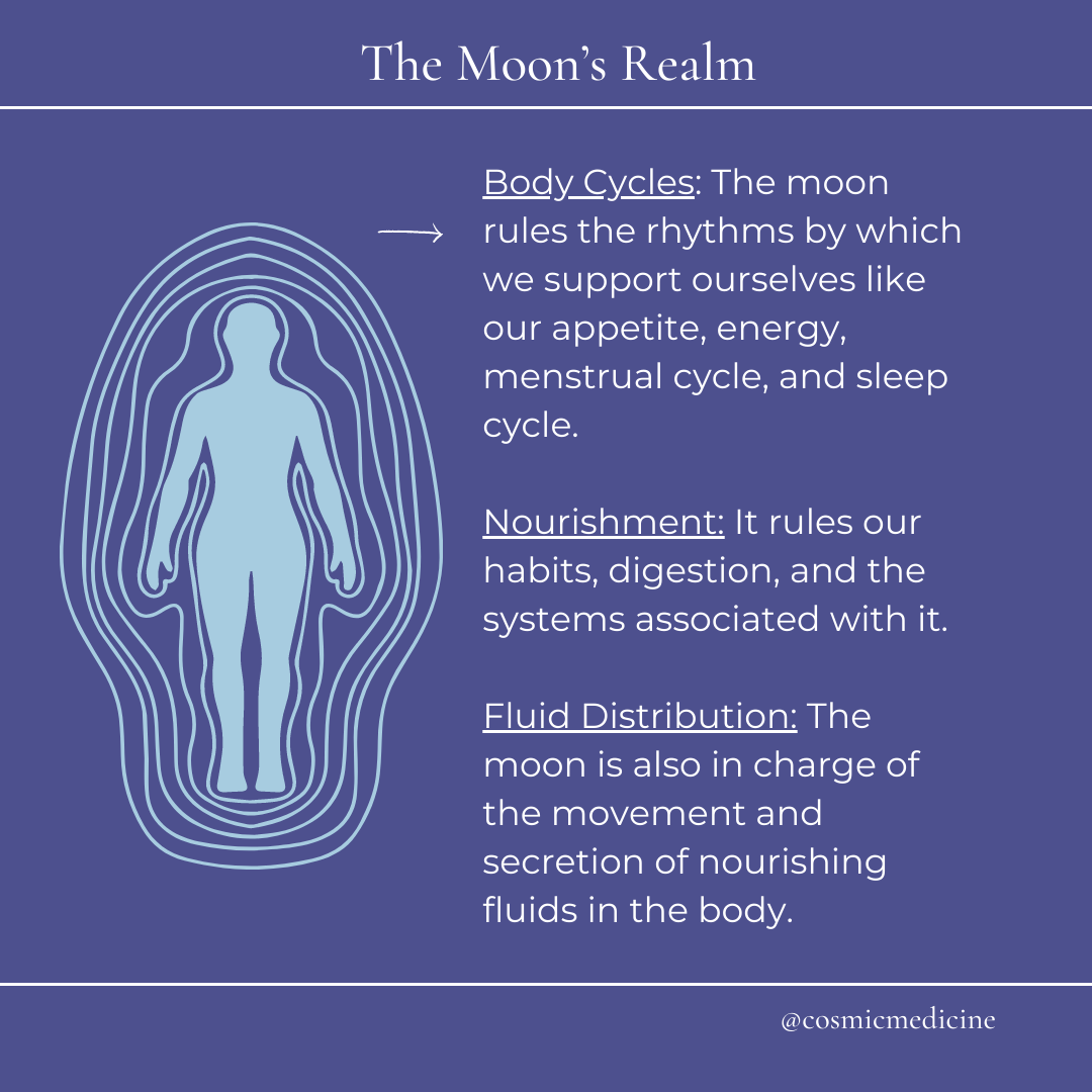 Moon and Menstrual Cycle: Understanding the Celestial Influence on ...