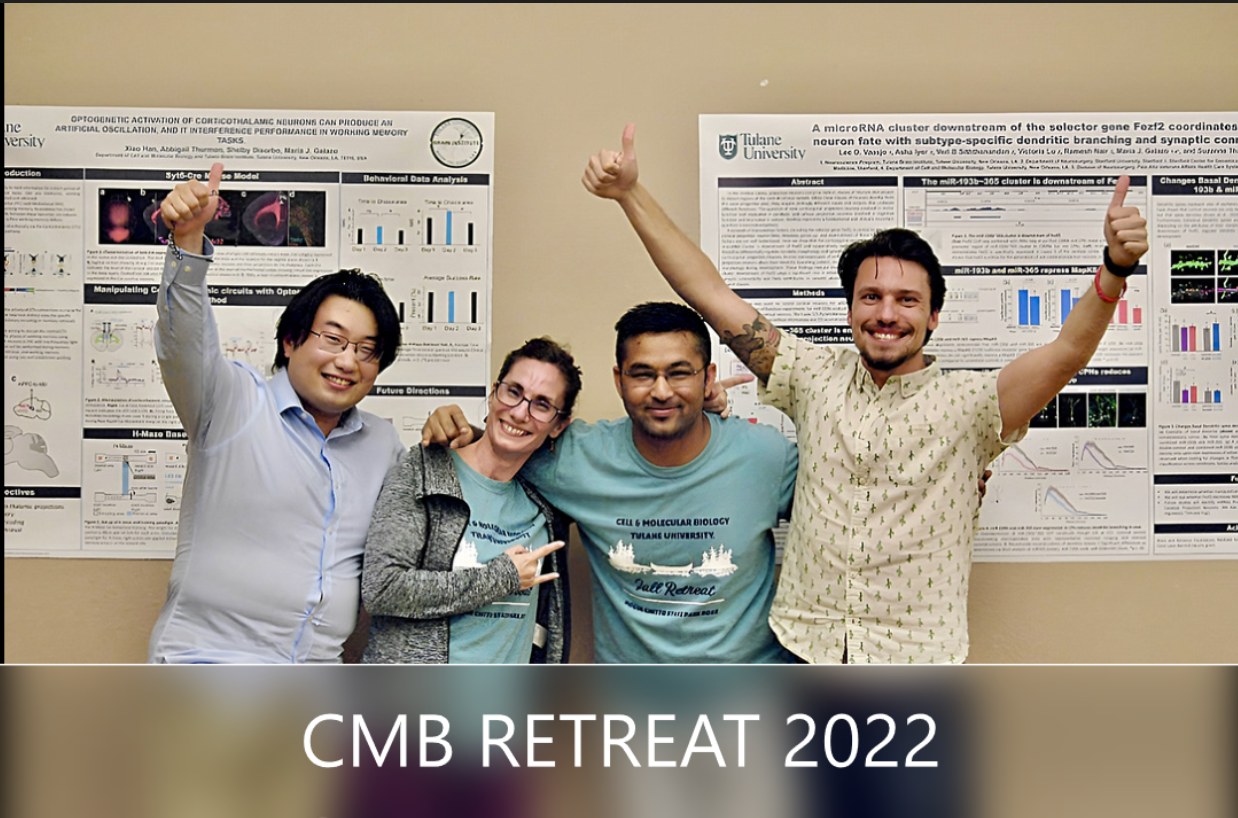 Photos — Galazo Lab