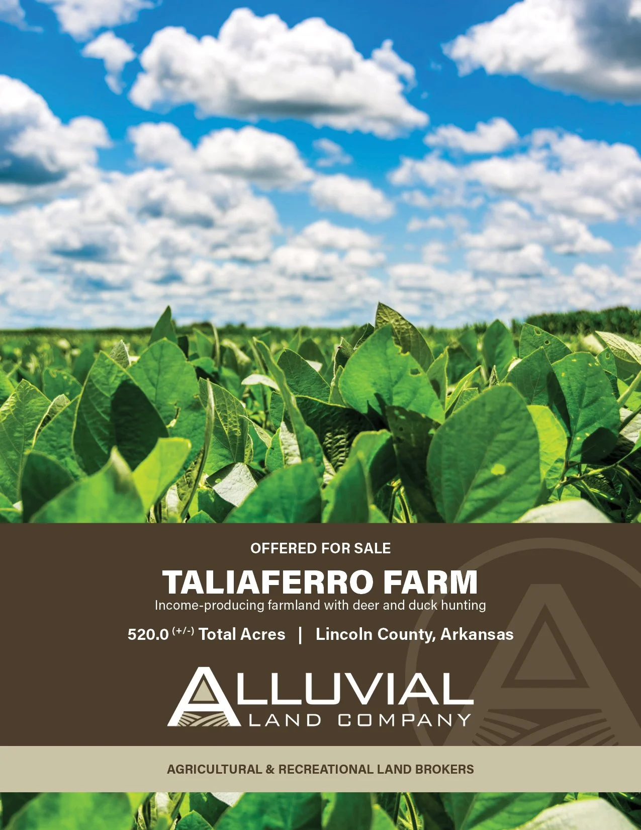 Properties — Alluvial Land Company