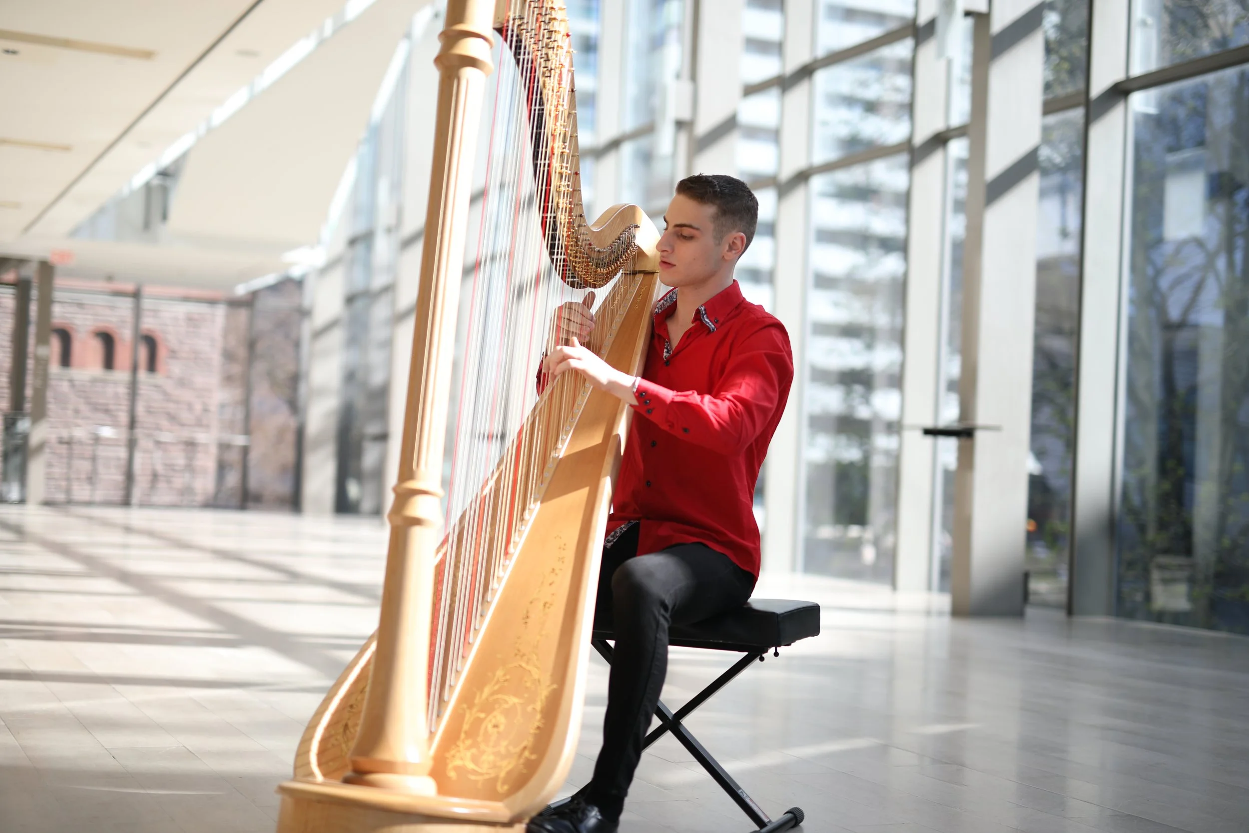 Emerging Soloist Competition — Chamber Orchestra of the Springs