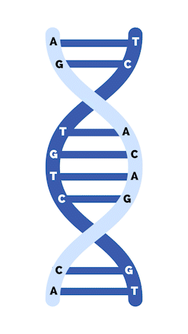 What We Do — Inherent Biosciences