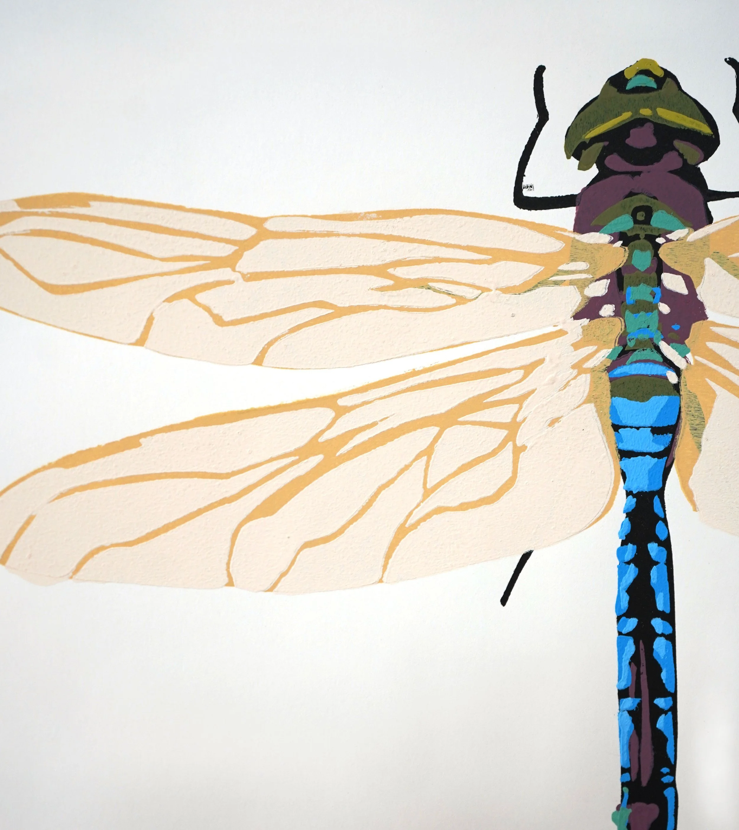 Shop — Landry McMeans