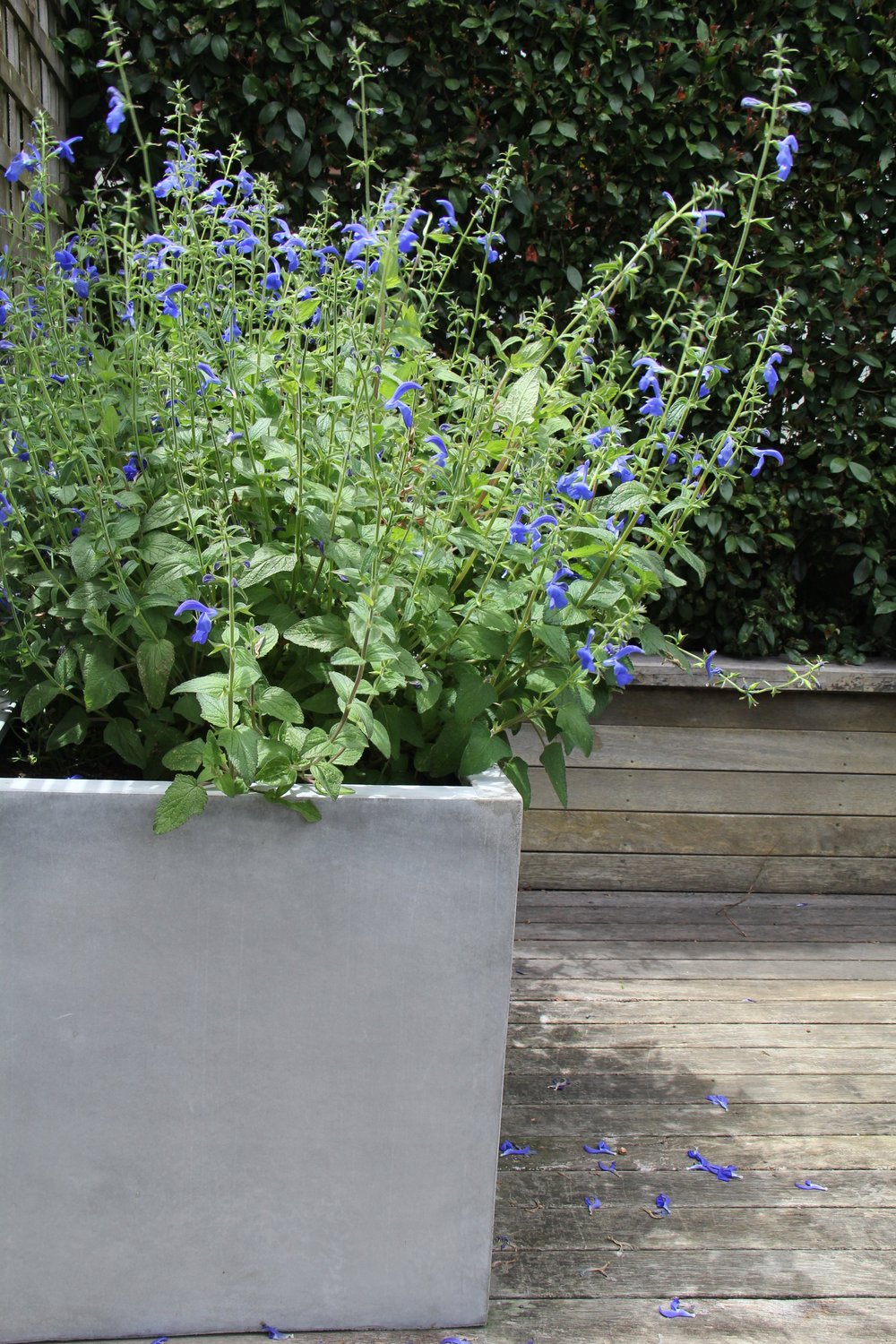 GRC New Zealand — Concrete Planters and Pots