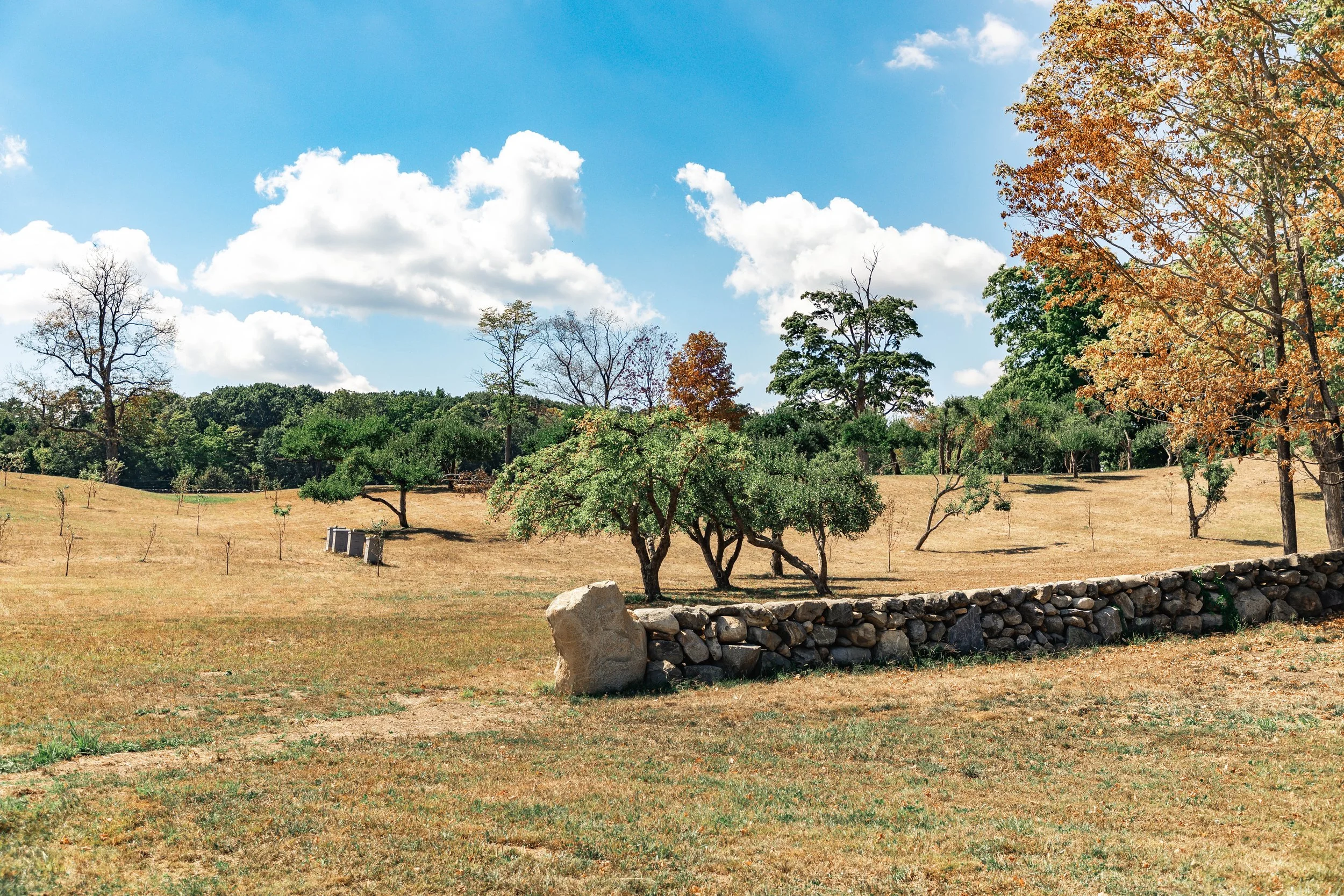 Explore - Meredith Farm Topsfield MA — Meredith Farm Website