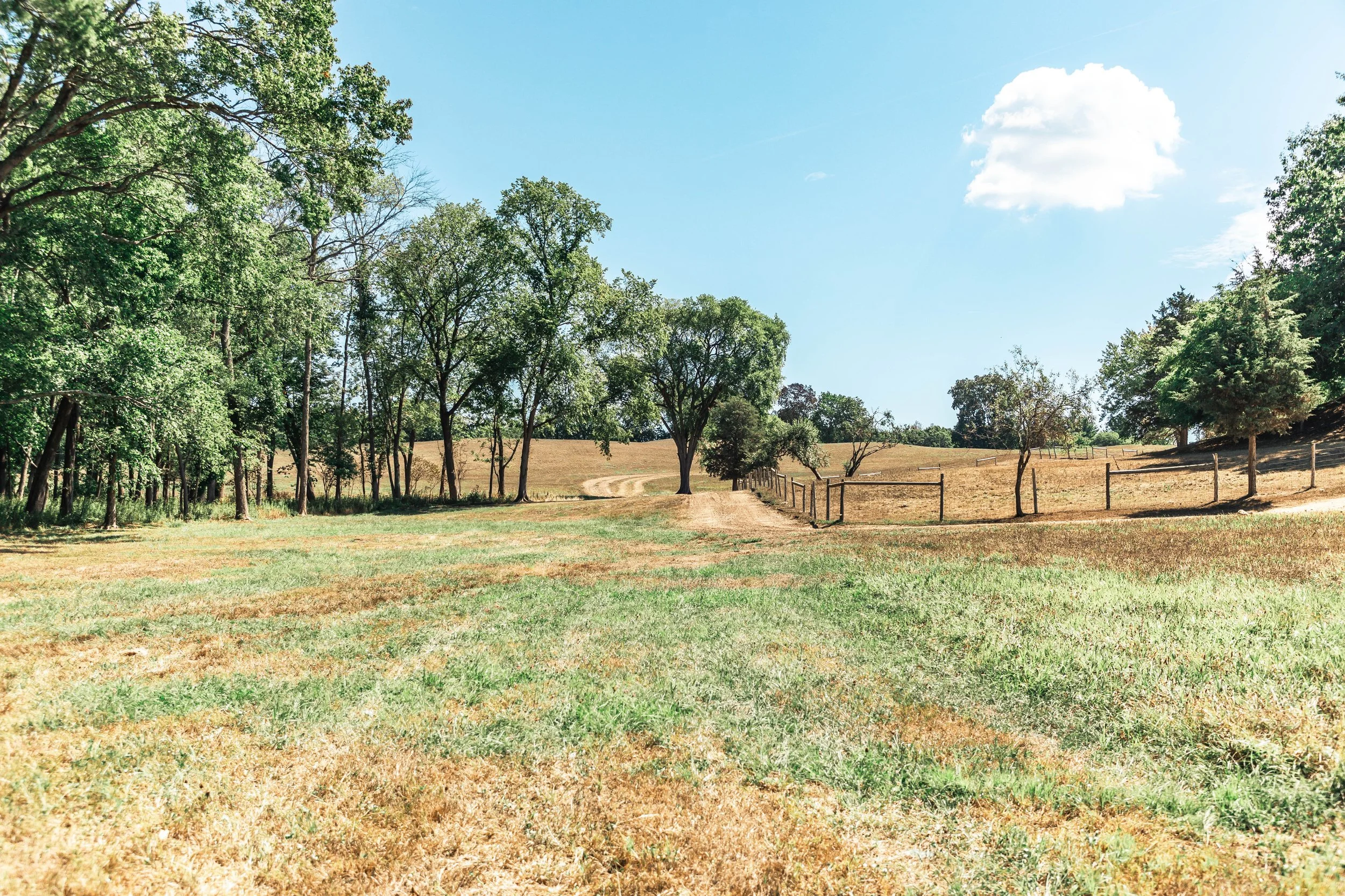 Explore - Meredith Farm Topsfield MA — Meredith Farm Website