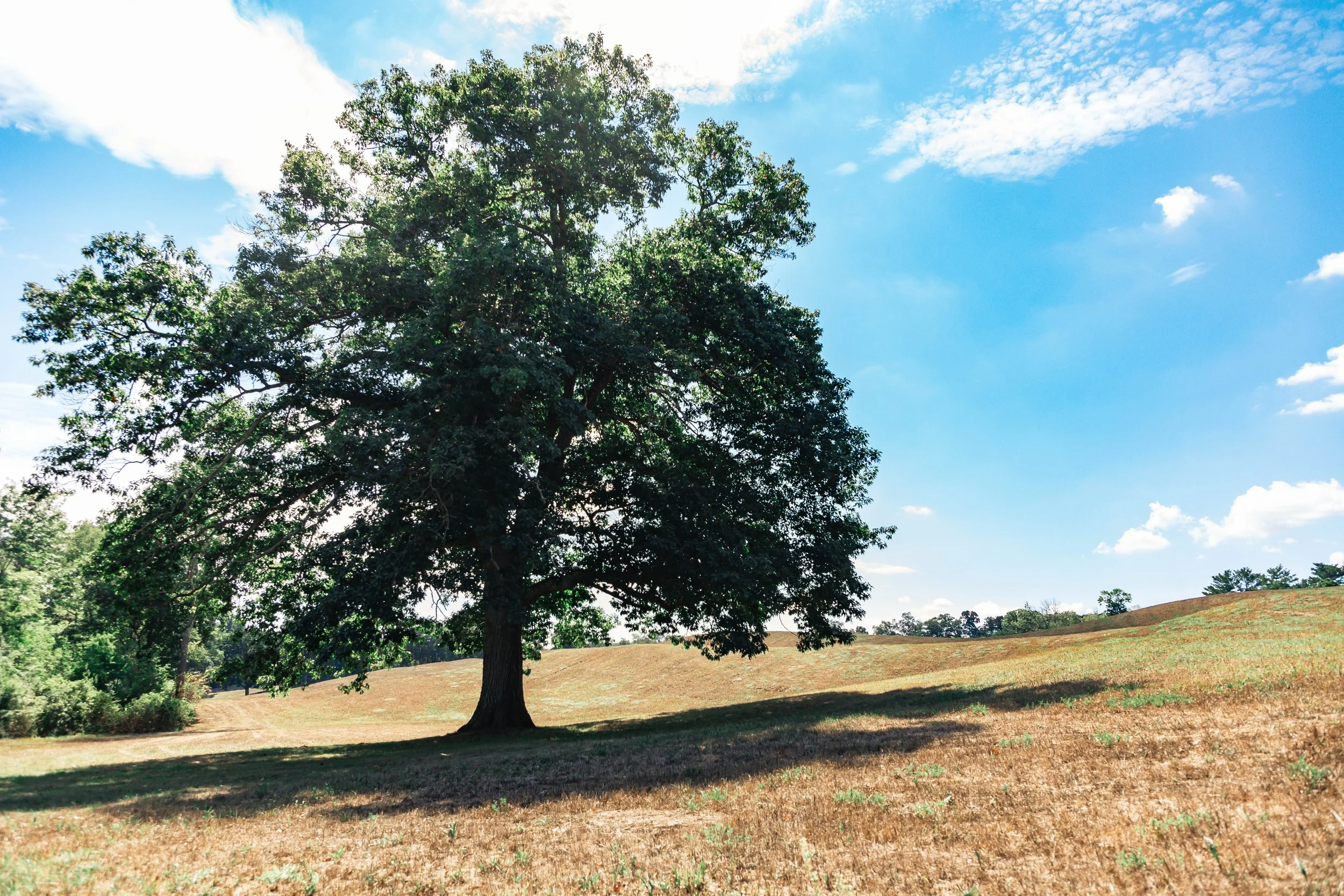 Explore - Meredith Farm Topsfield MA — Meredith Farm Website