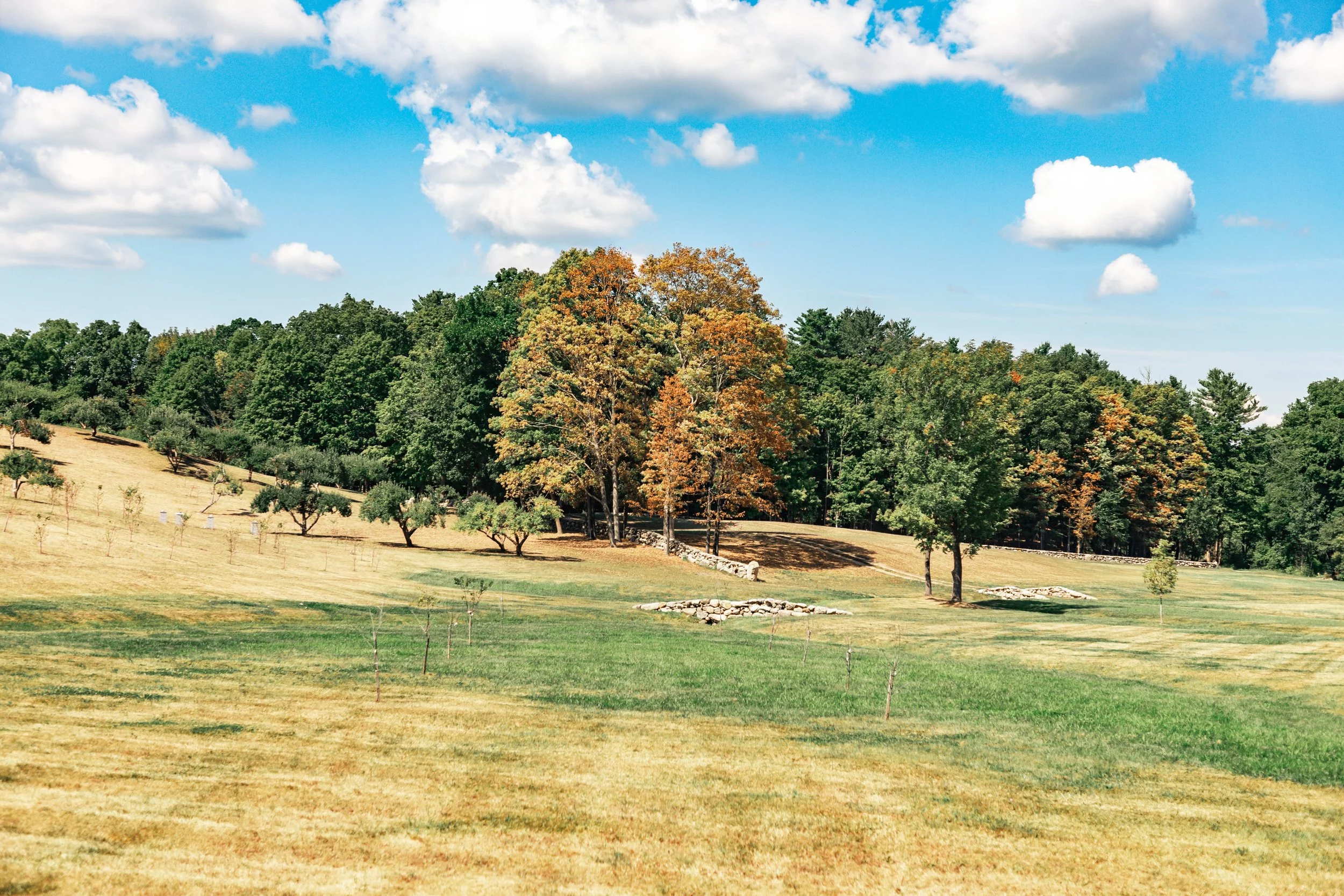 Explore - Meredith Farm Topsfield MA — Meredith Farm Website