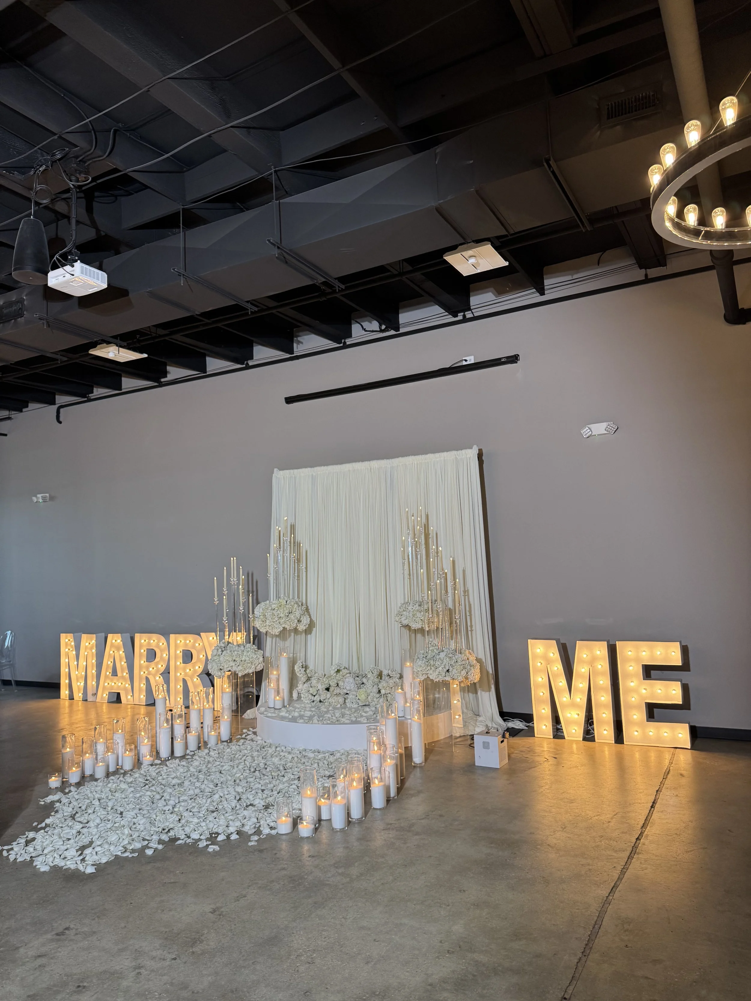 Engagement Proposal Setups in DC/MD/VA | Picnics by Peace — Picnics by ...