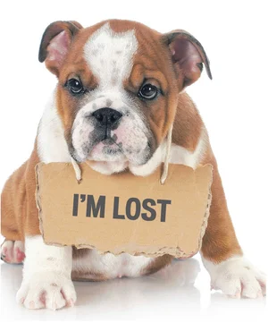 Information to help you find your lost pet — Tender Loving Care Animal ...