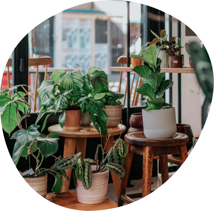 Lucy's - All Things Tasty & Together
