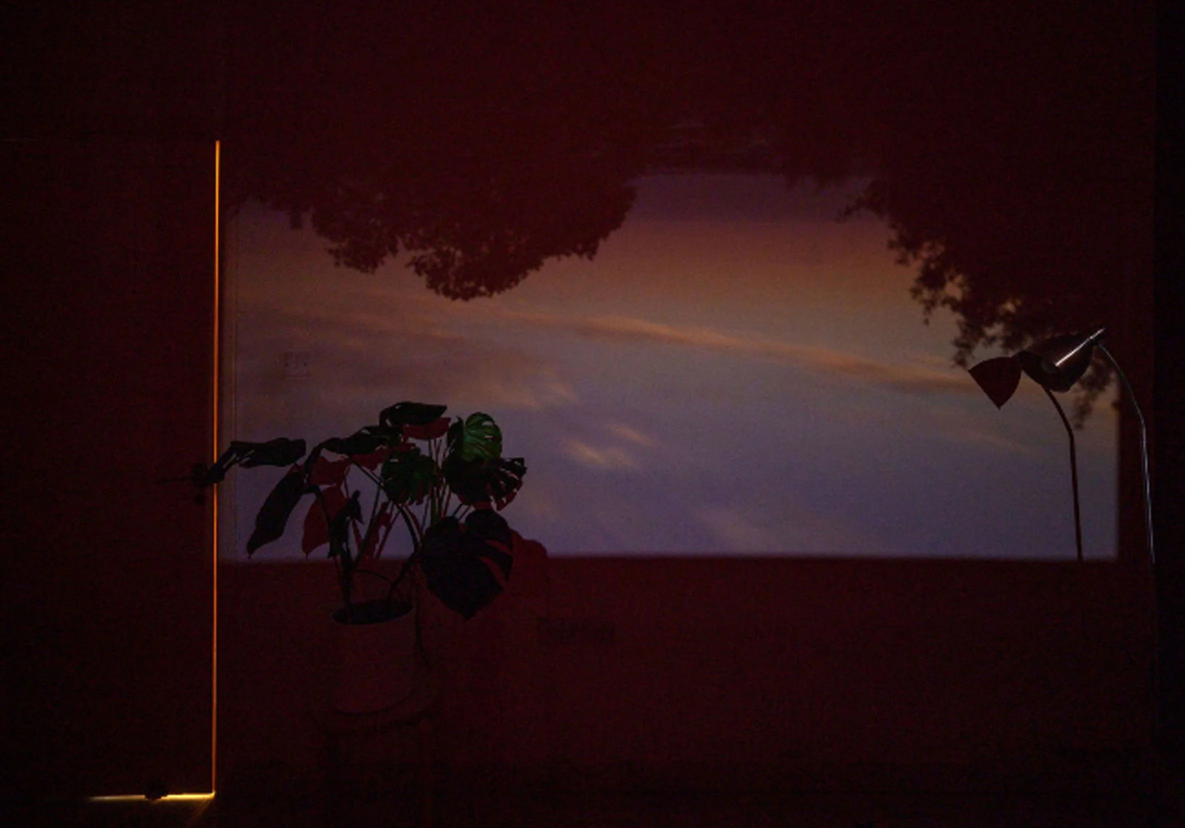 Architectural Obscura / 2020 — AVR