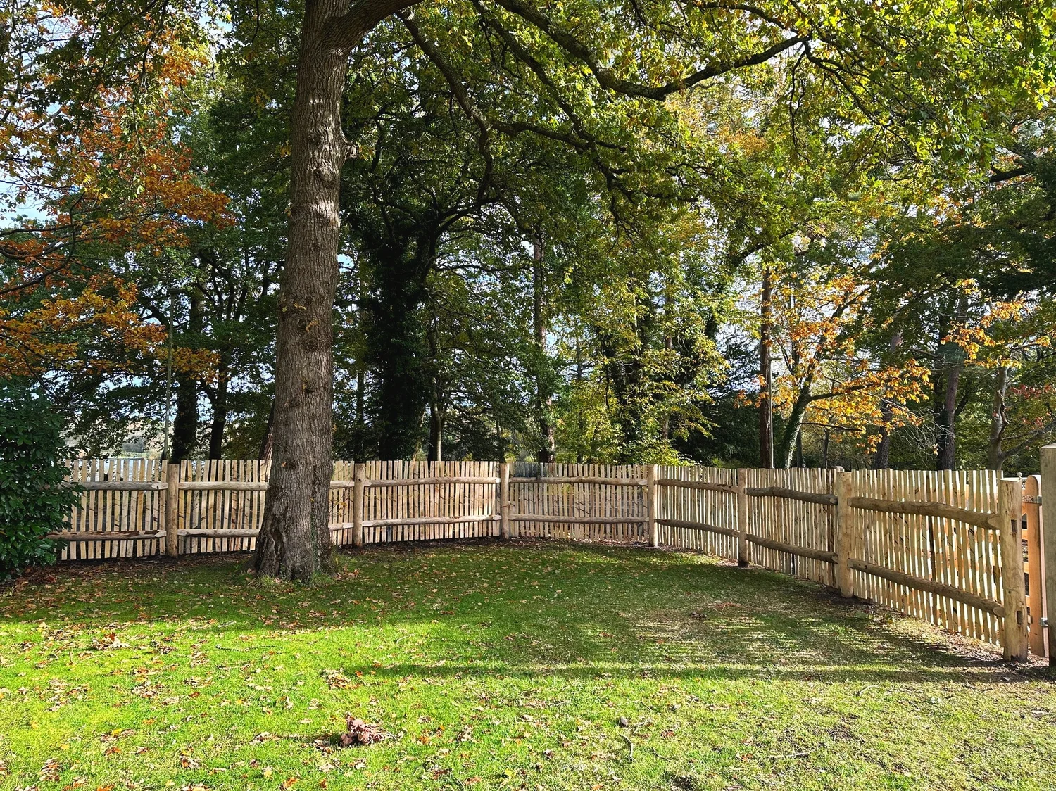 Fencing & Gates for Petersfield and Surroundings