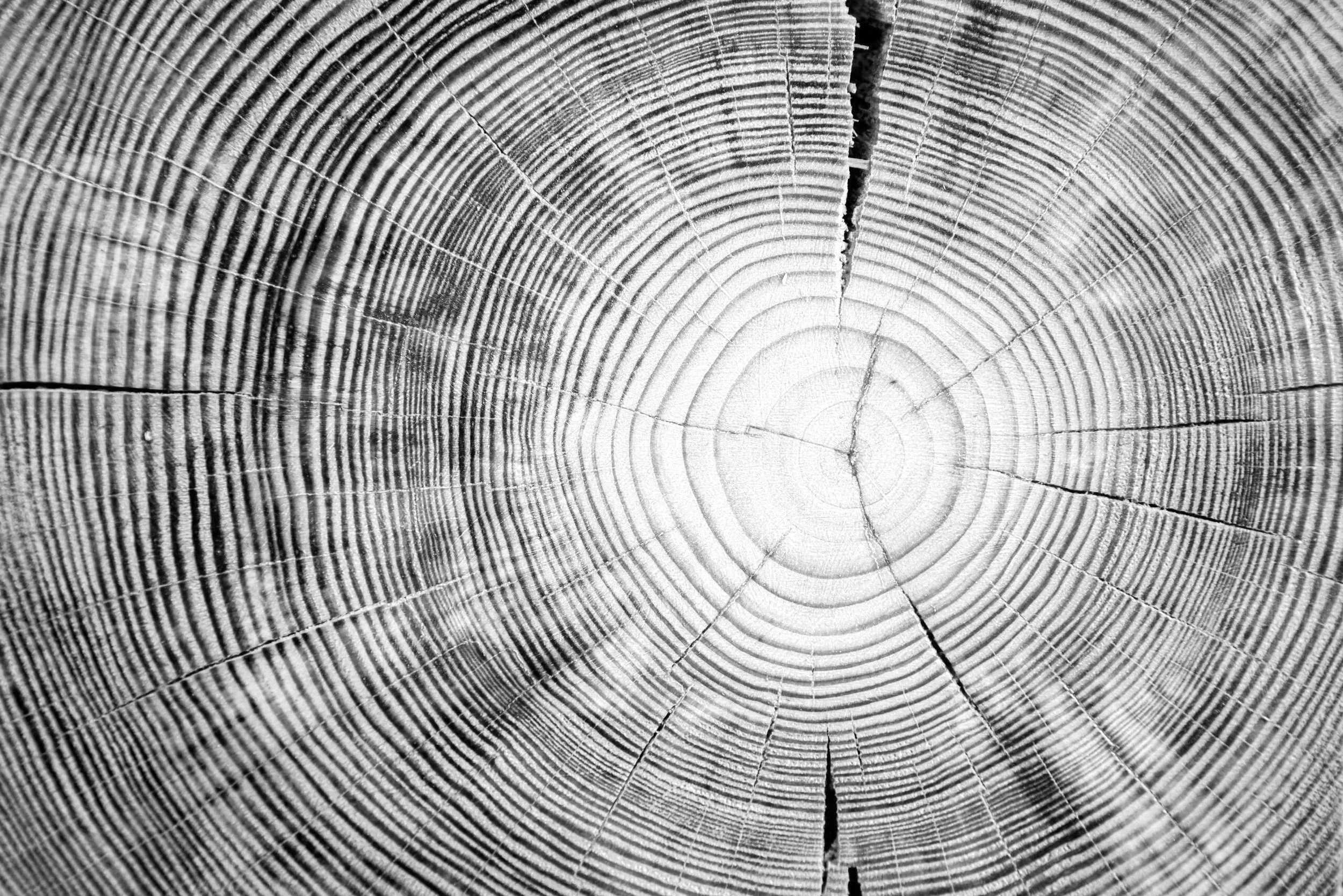 Contact Traditional Fencing & Gates Petersfield — The Wild Fencing Company