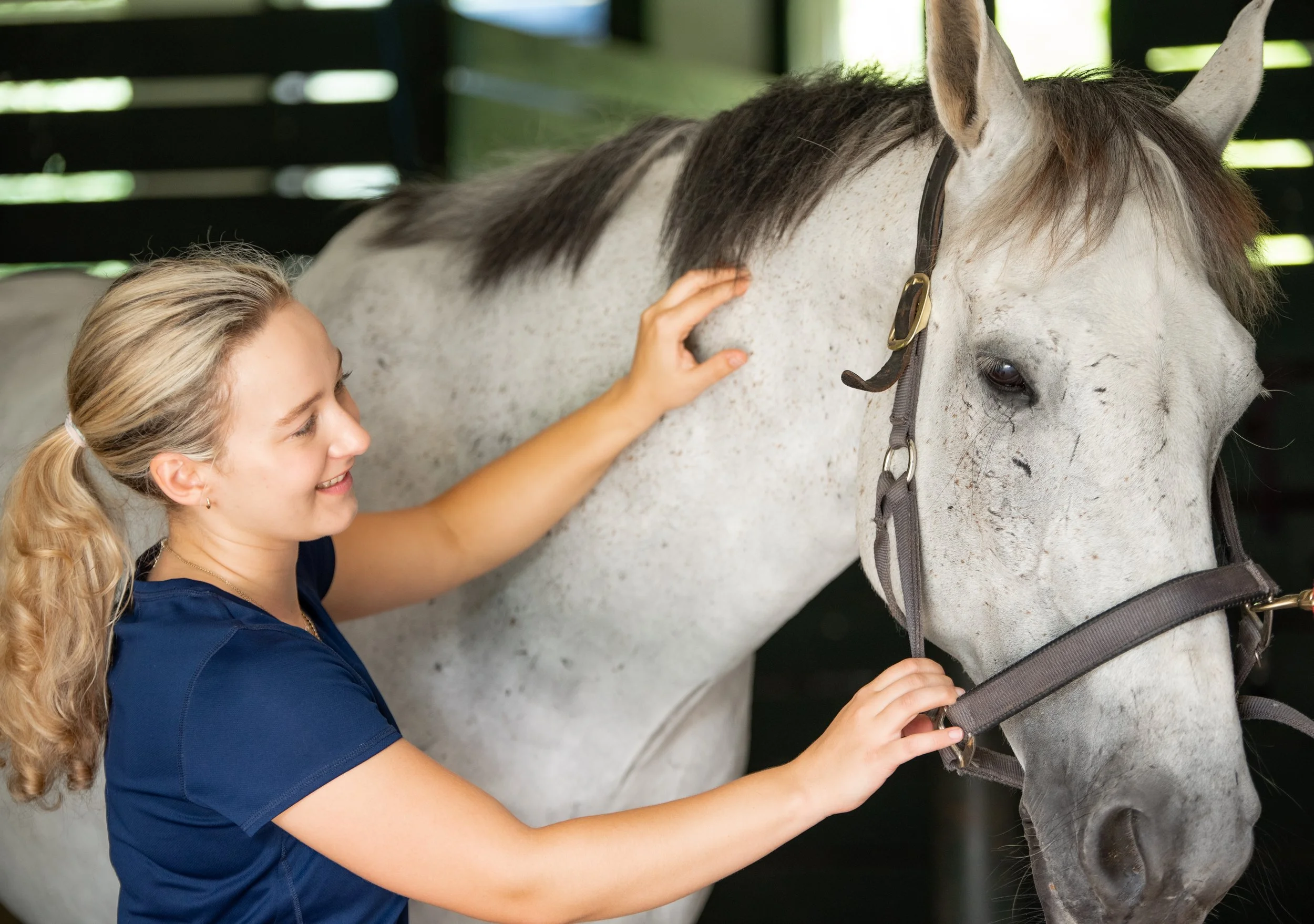 Why Your Horse Feels Stiff After Work—And How to Prevent It — Freely ...