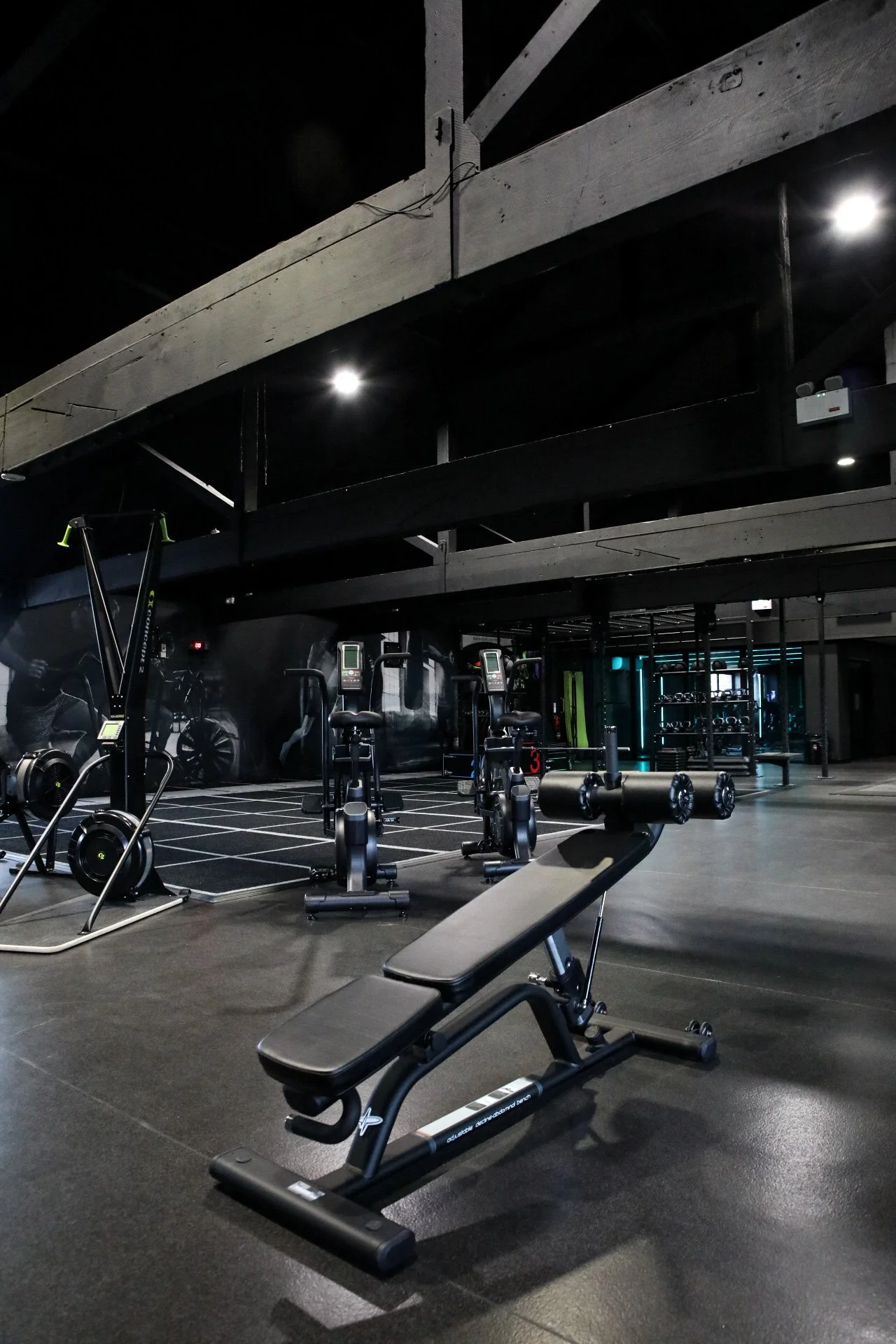 Premier Gym + Fitness