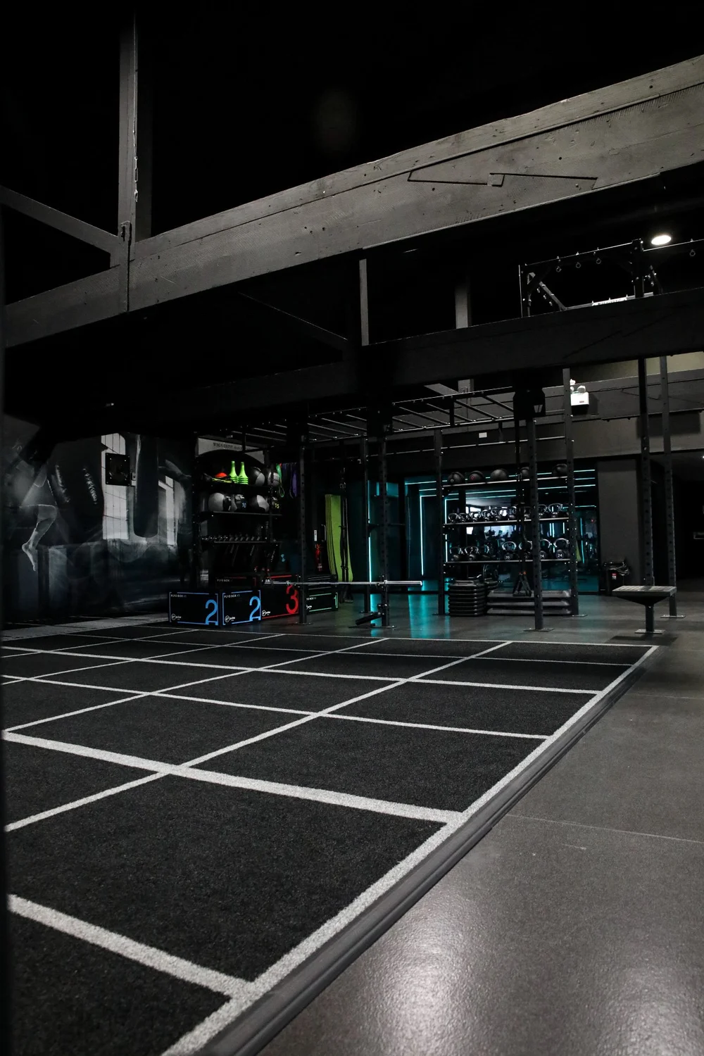 Premier Gym + Fitness