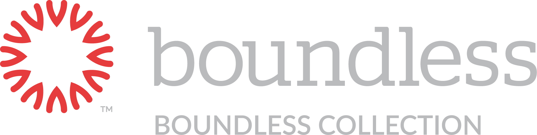 Boundless Logo