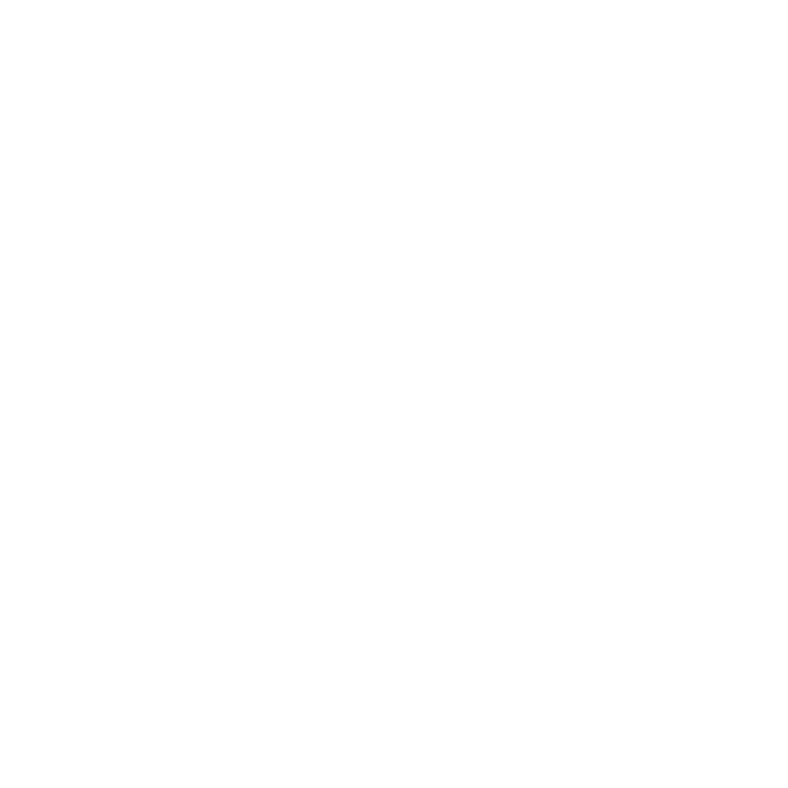 EXCURSIONS — LIME OUT