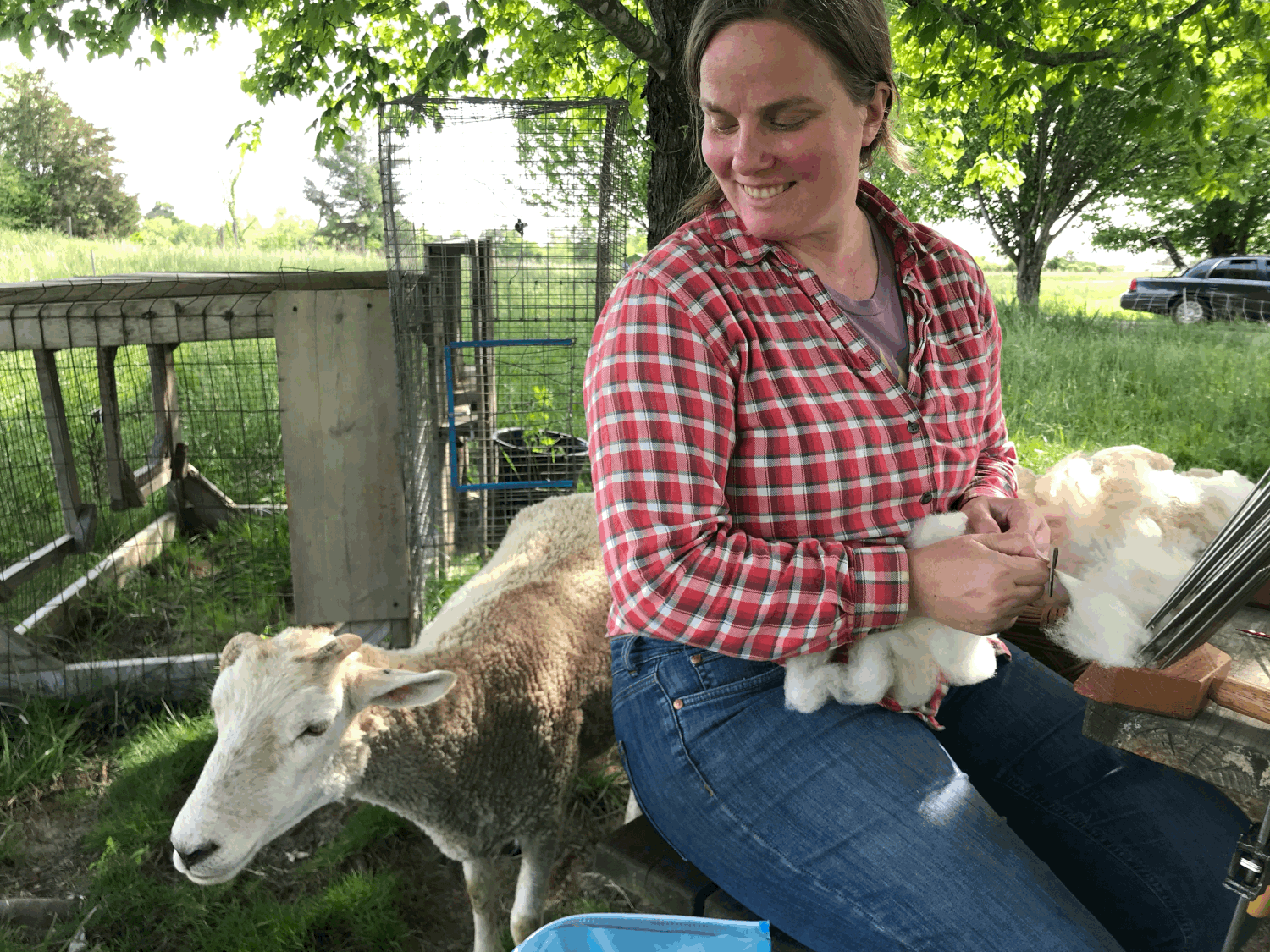 Blog — WhoopsyDaisy Farm