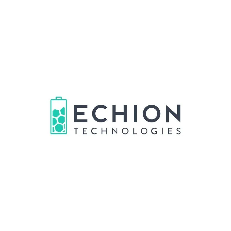 Company — Echion Technologies