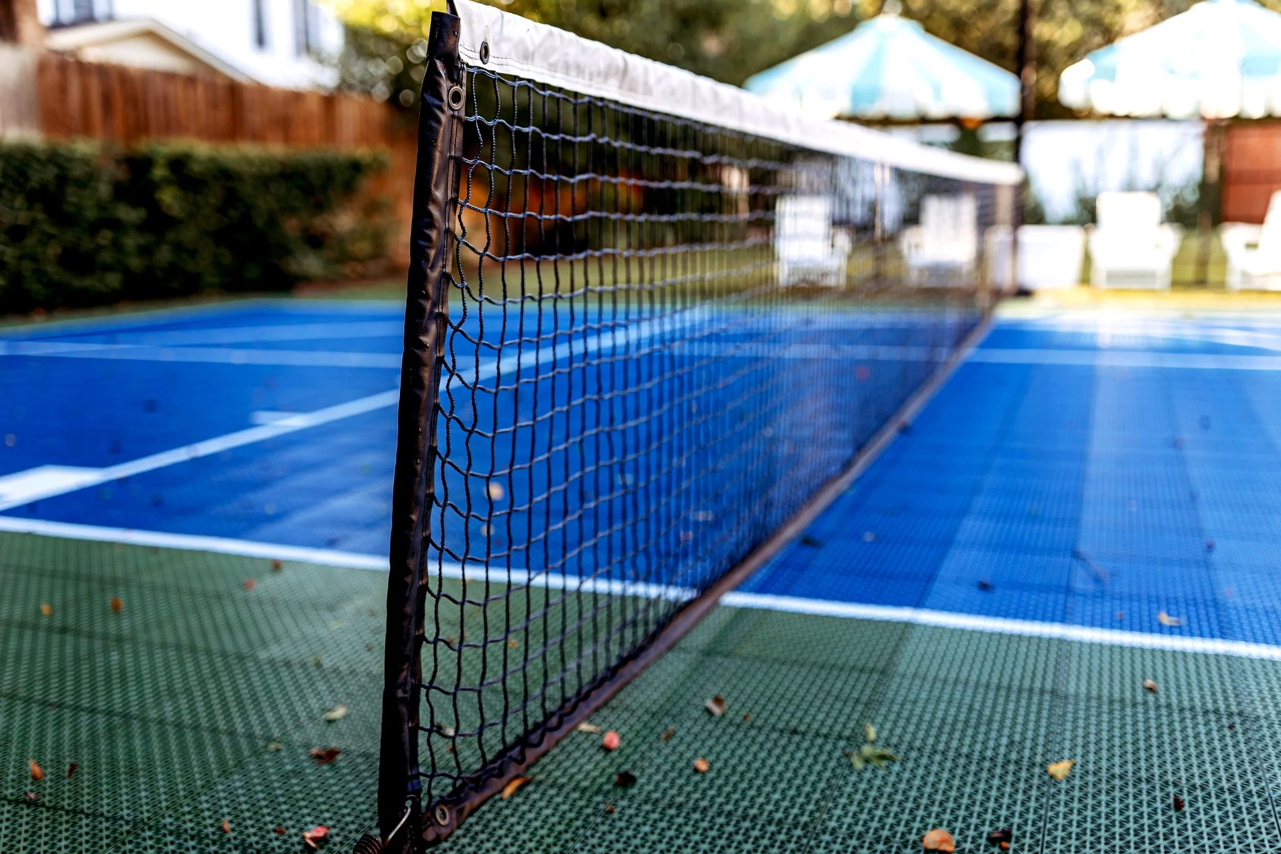 Spring Training Pickleball