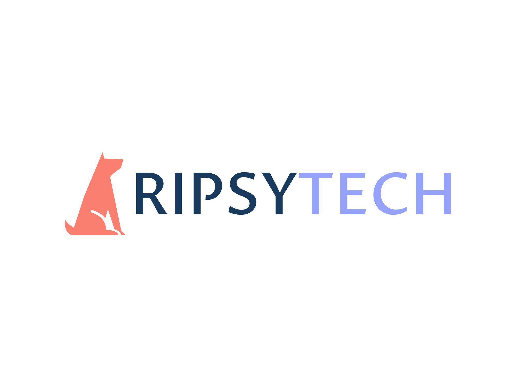 About Us — Ripsy Technologies