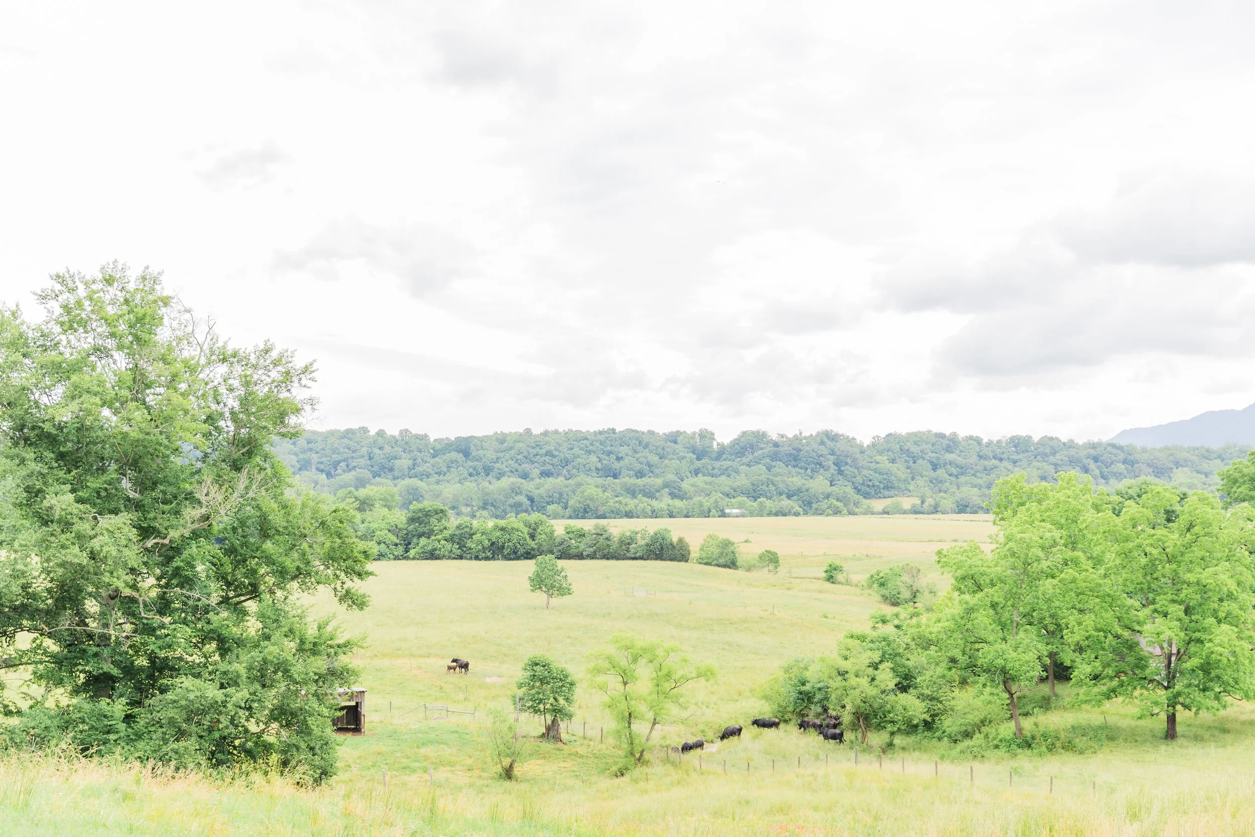 Gallery — Shiloh Ridge Venue