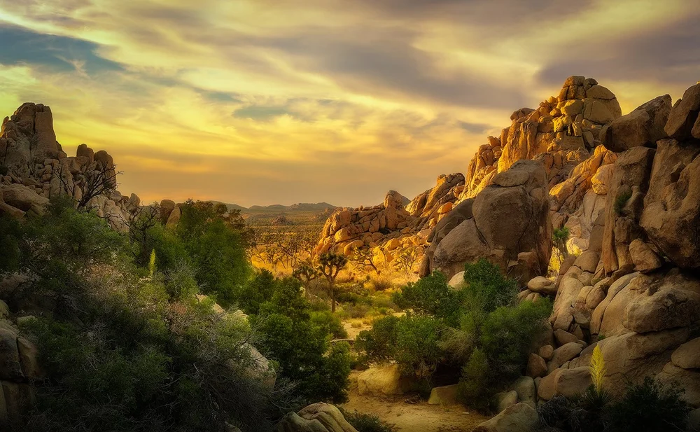 George M Photography