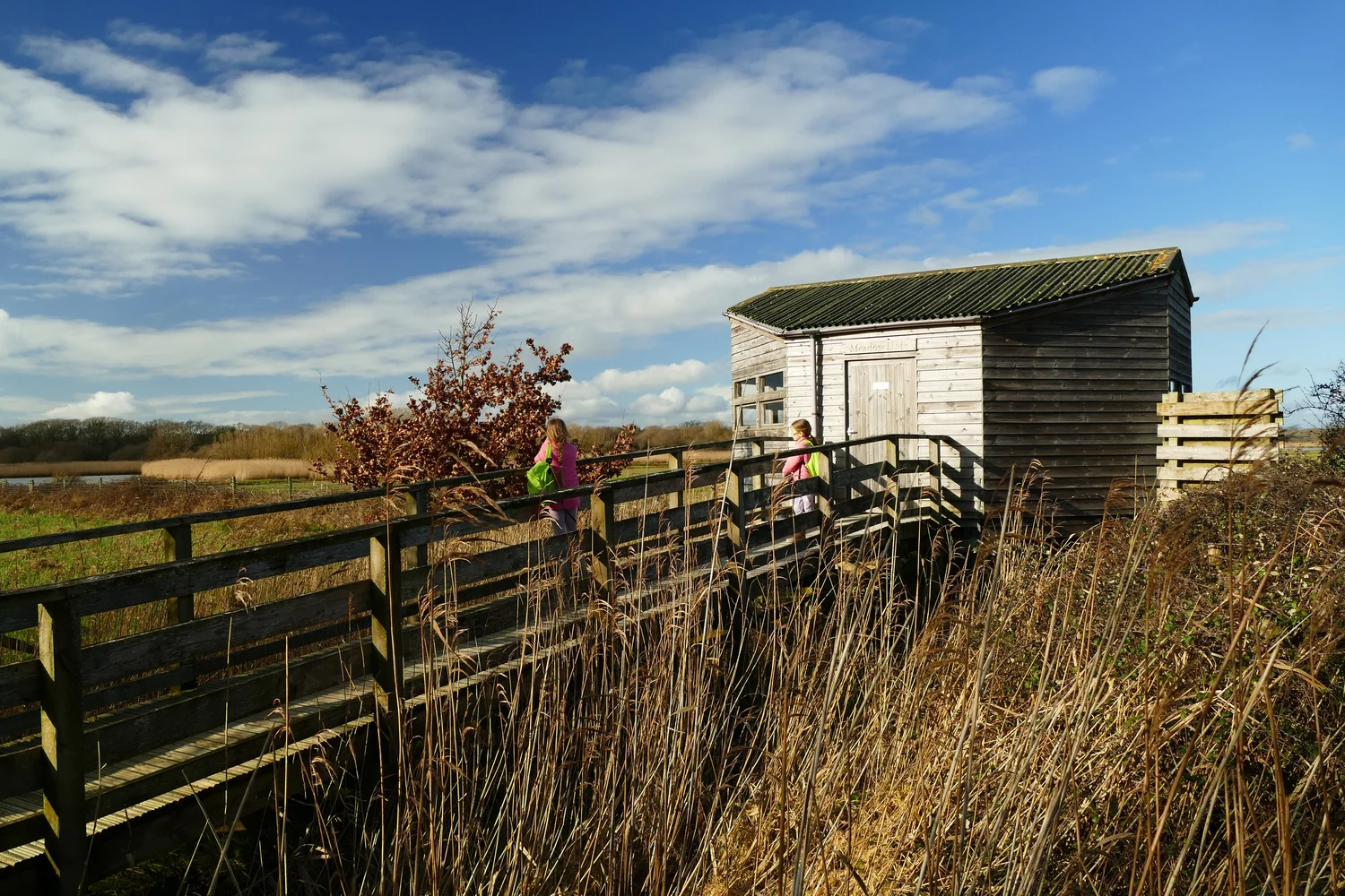 A circular walk for the whole family at Titchfield Haven National ...