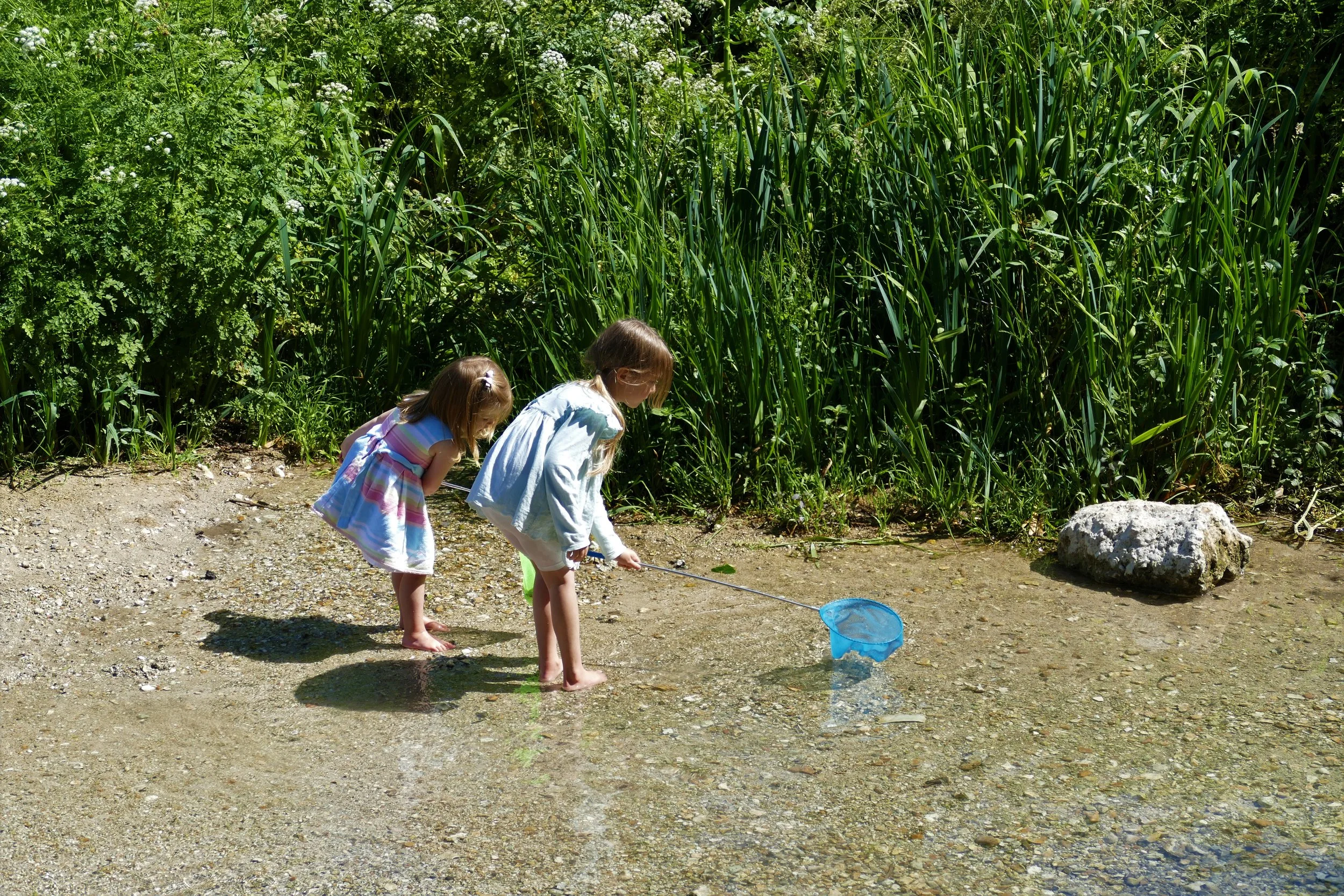 A walk for the whole family along The River Meon from Droxford — The ...