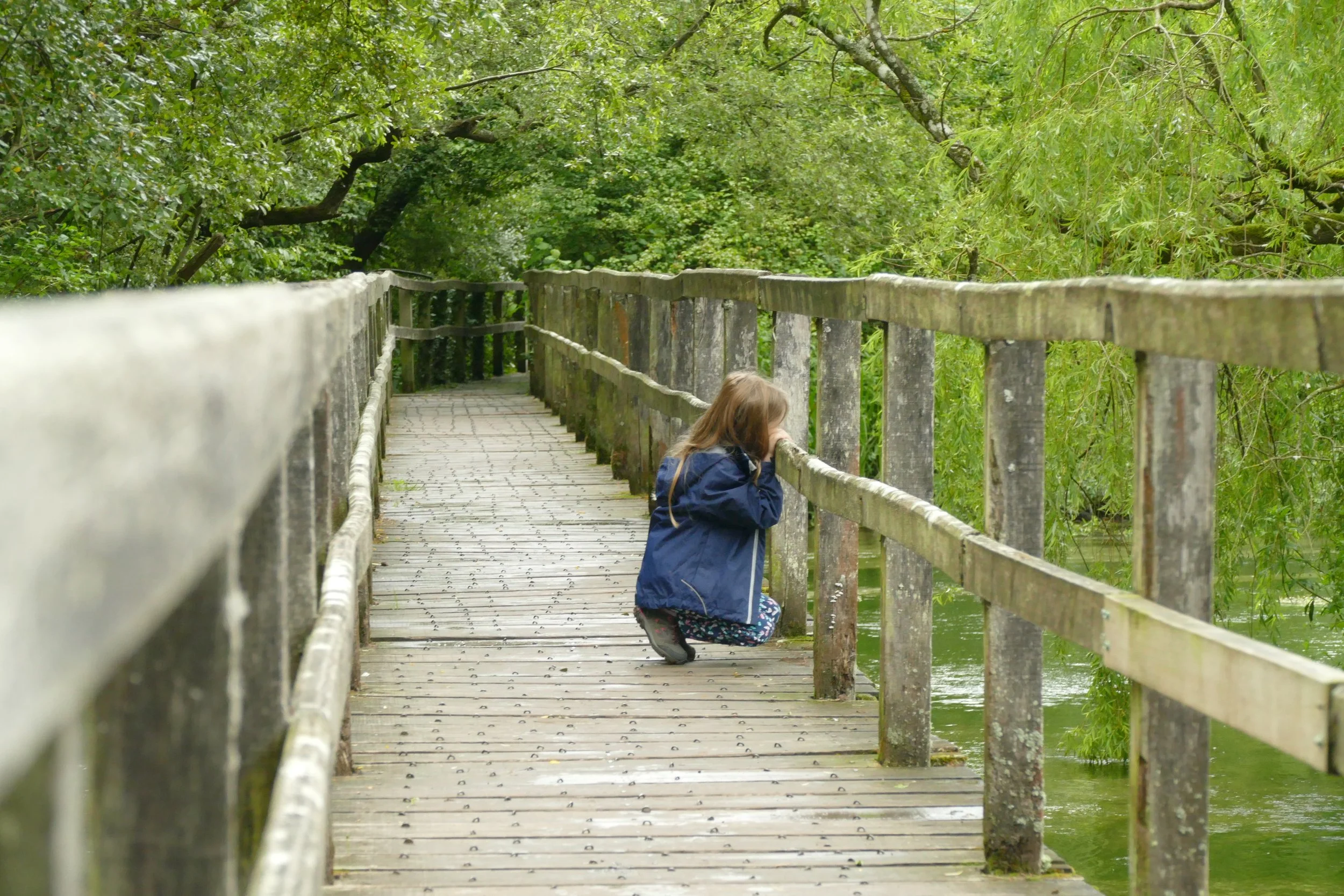 A walk for the whole family at Chilbolton — The Ambling Path - Family ...