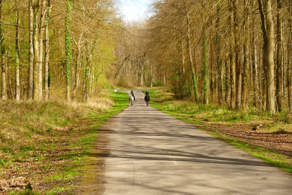 A walk for the whole family around Angmering Park Estate — The Ambling ...