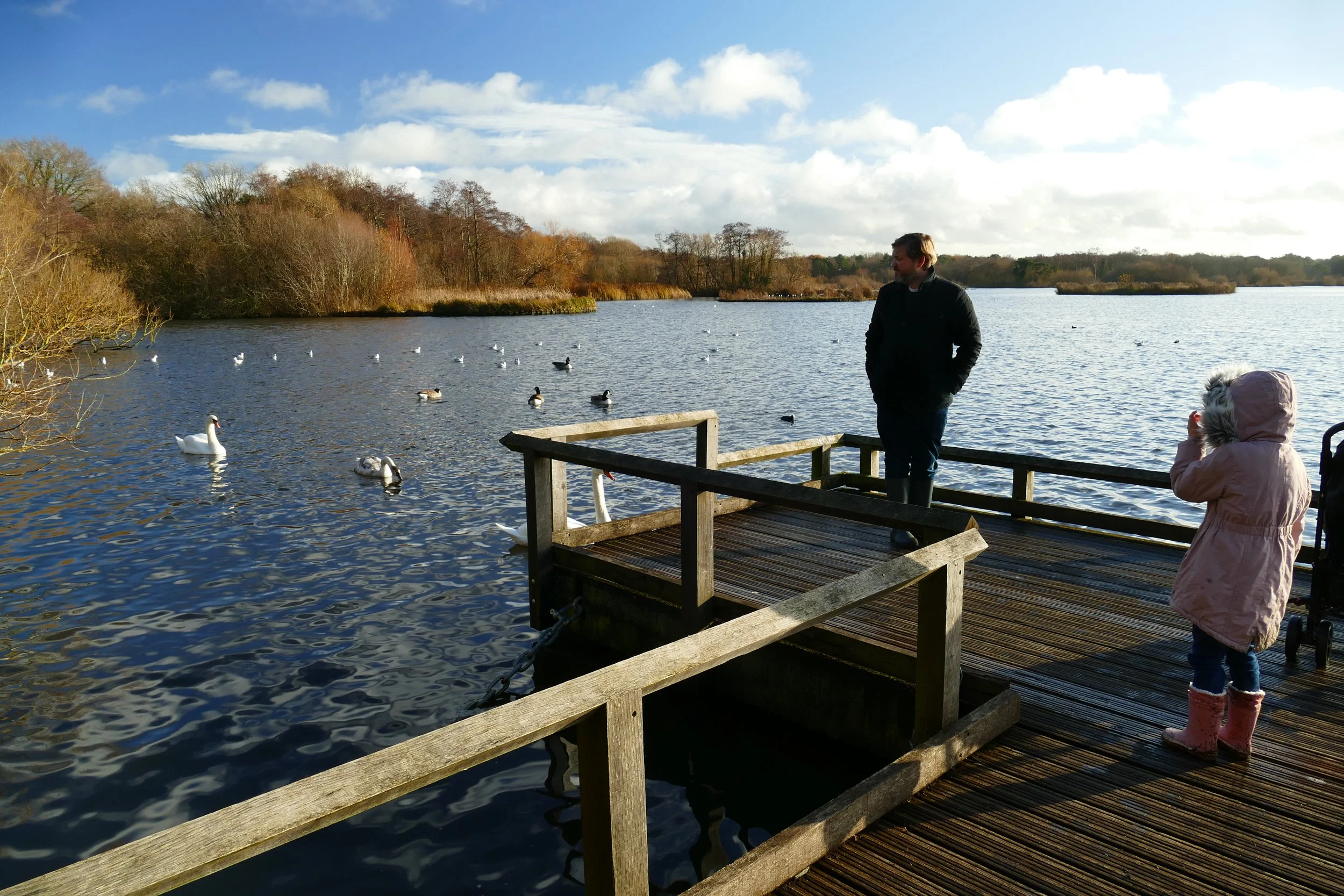 A circular walk for the whole family around Fleet Pond — The Ambling ...