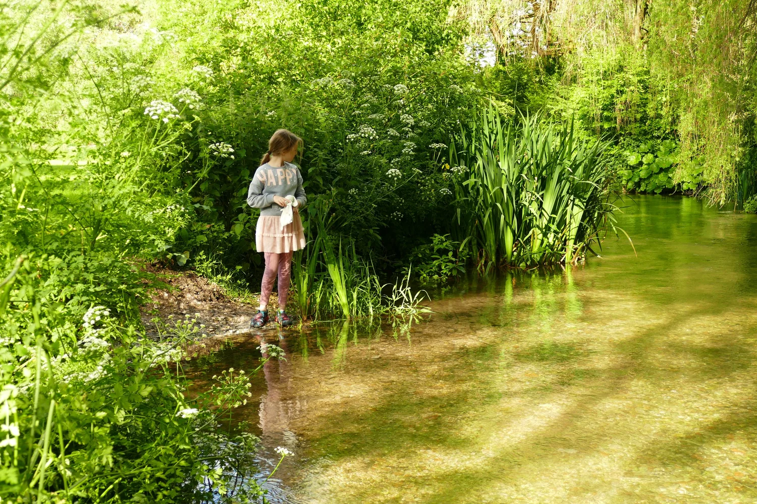 A collection of walks along the River Meon — The Ambling Path - Walks ...