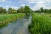 A walk for the whole family to Compton Lock, near Winchester — The ...