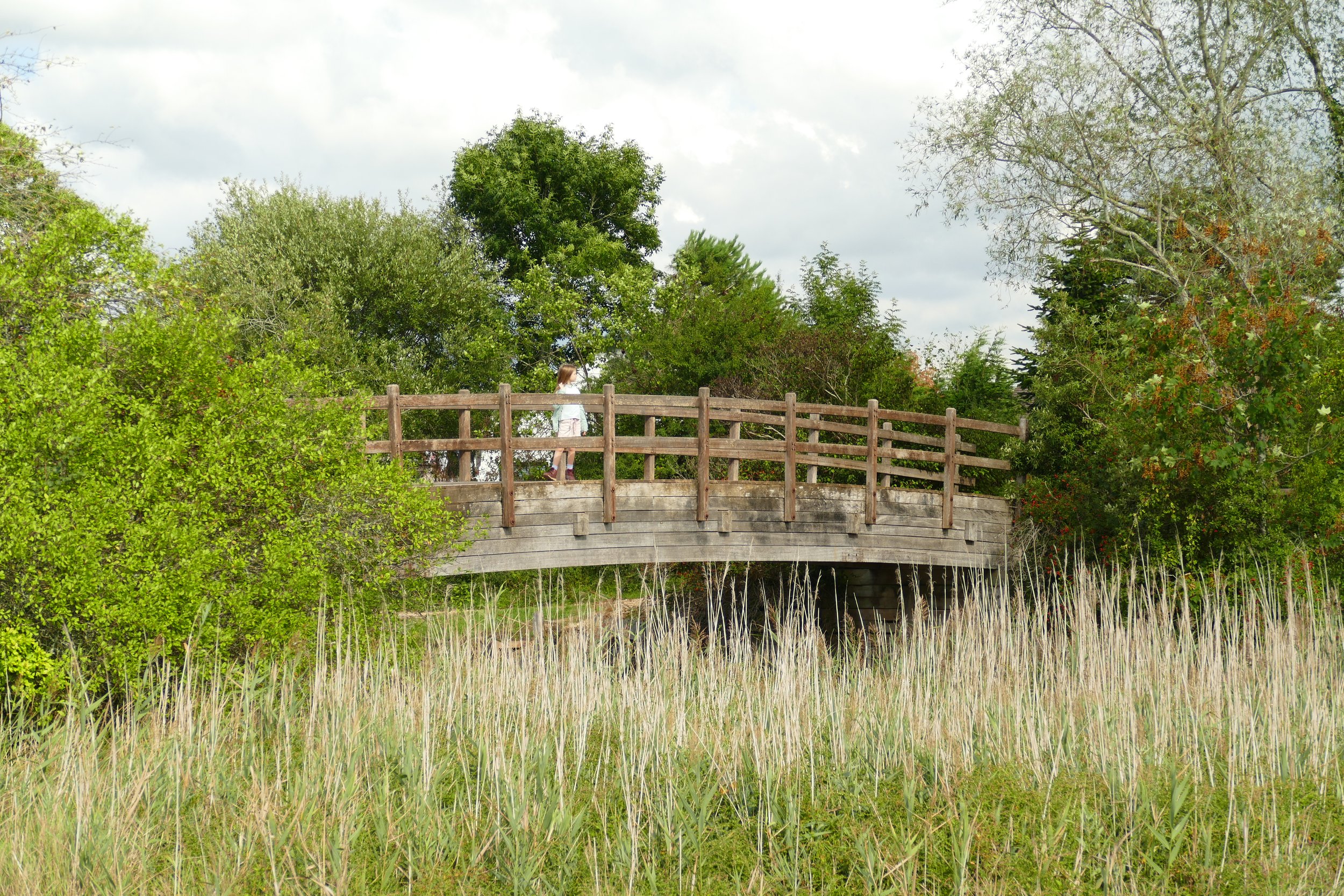A walk for the whole family starting from Eling Tide Mill — The Ambling ...