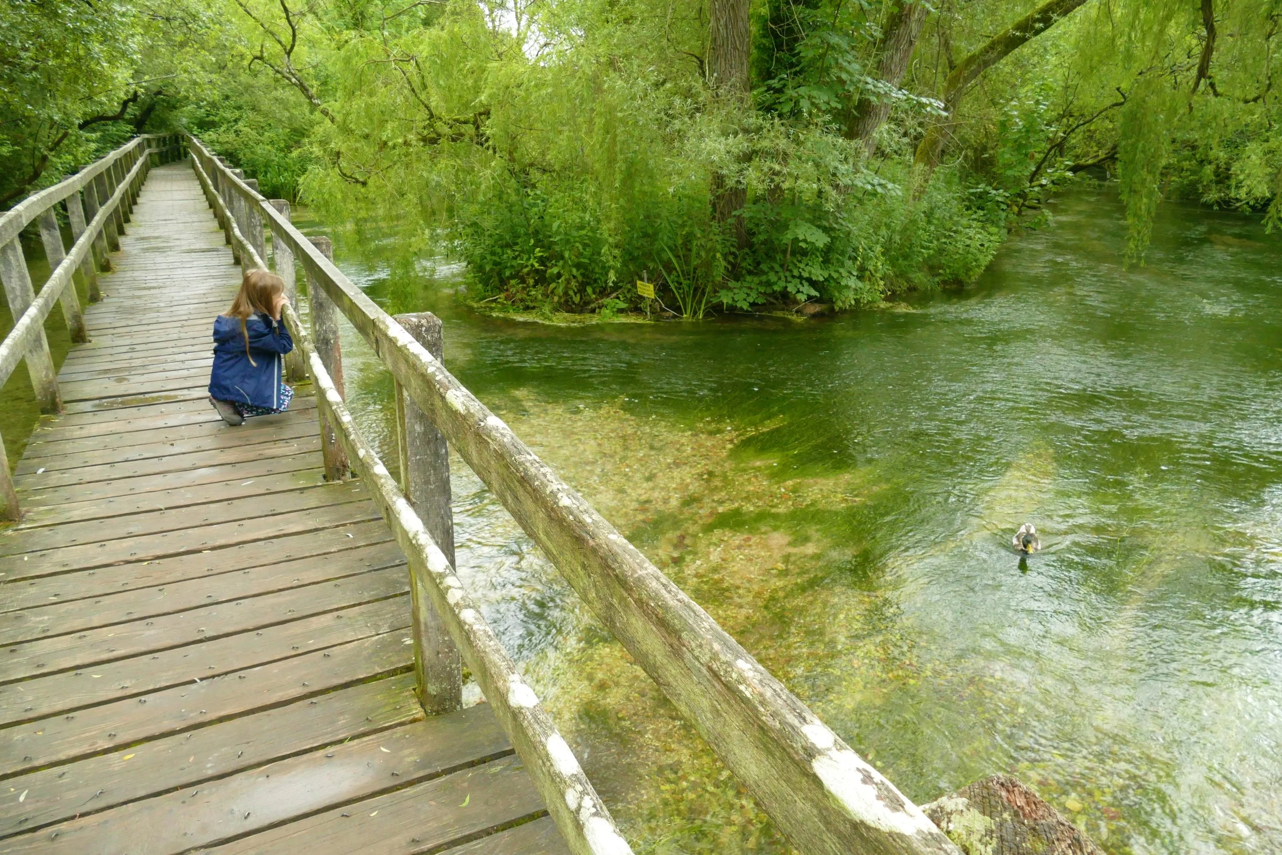 A walk for the whole family at Chilbolton — The Ambling Path - Family ...