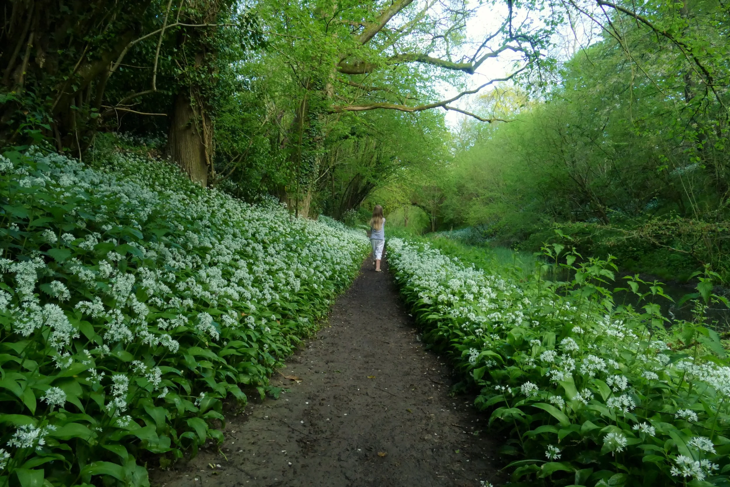 A walk for the whole family around Up Nately — The Ambling Path ...