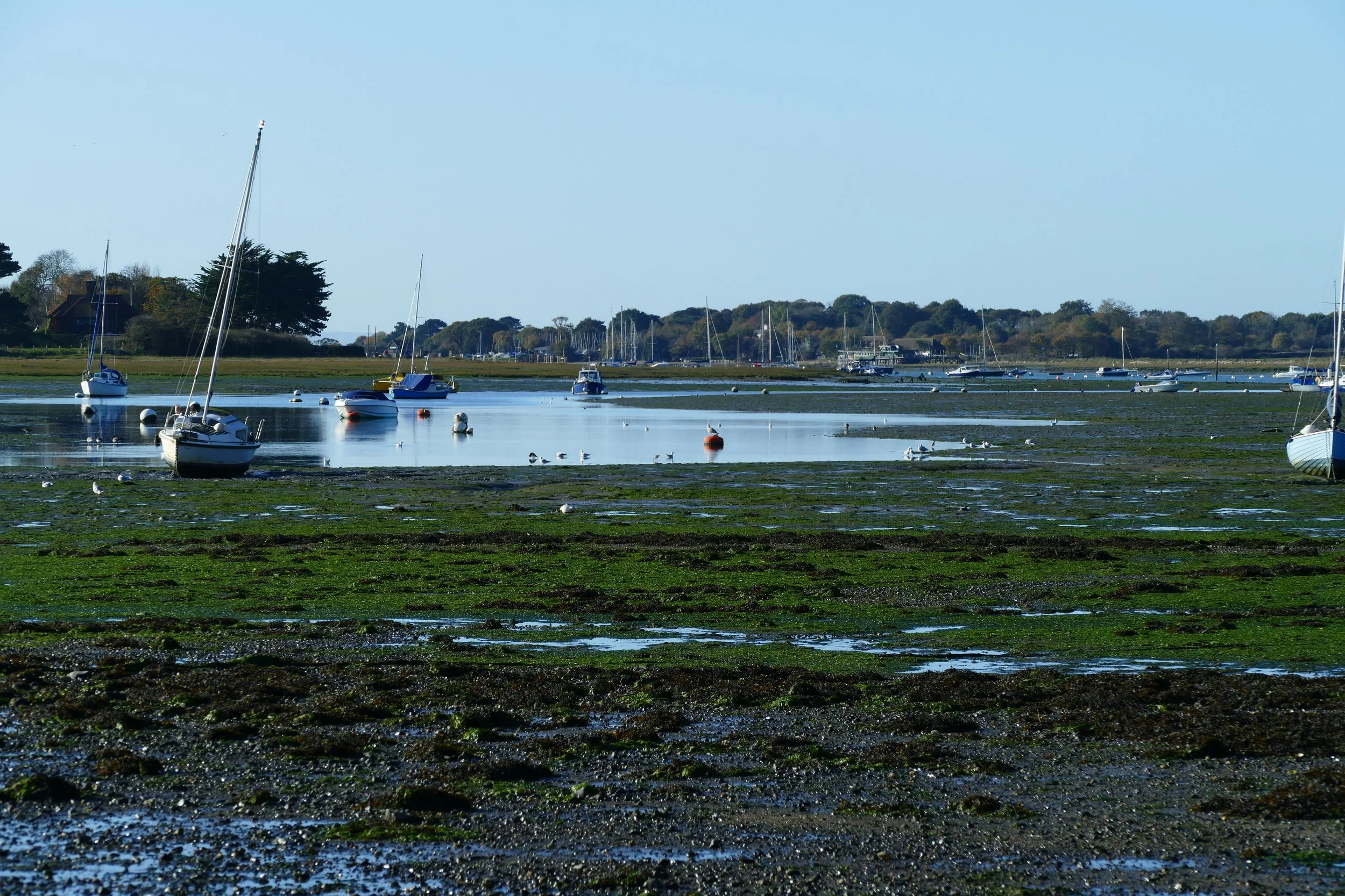 A walk for the whole family around Bosham — The Ambling Path - Family ...